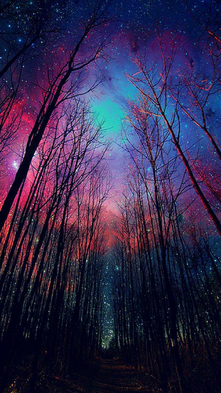 Galaxy Forest Wallpapers - Top Free Galaxy Forest Backgrounds ...