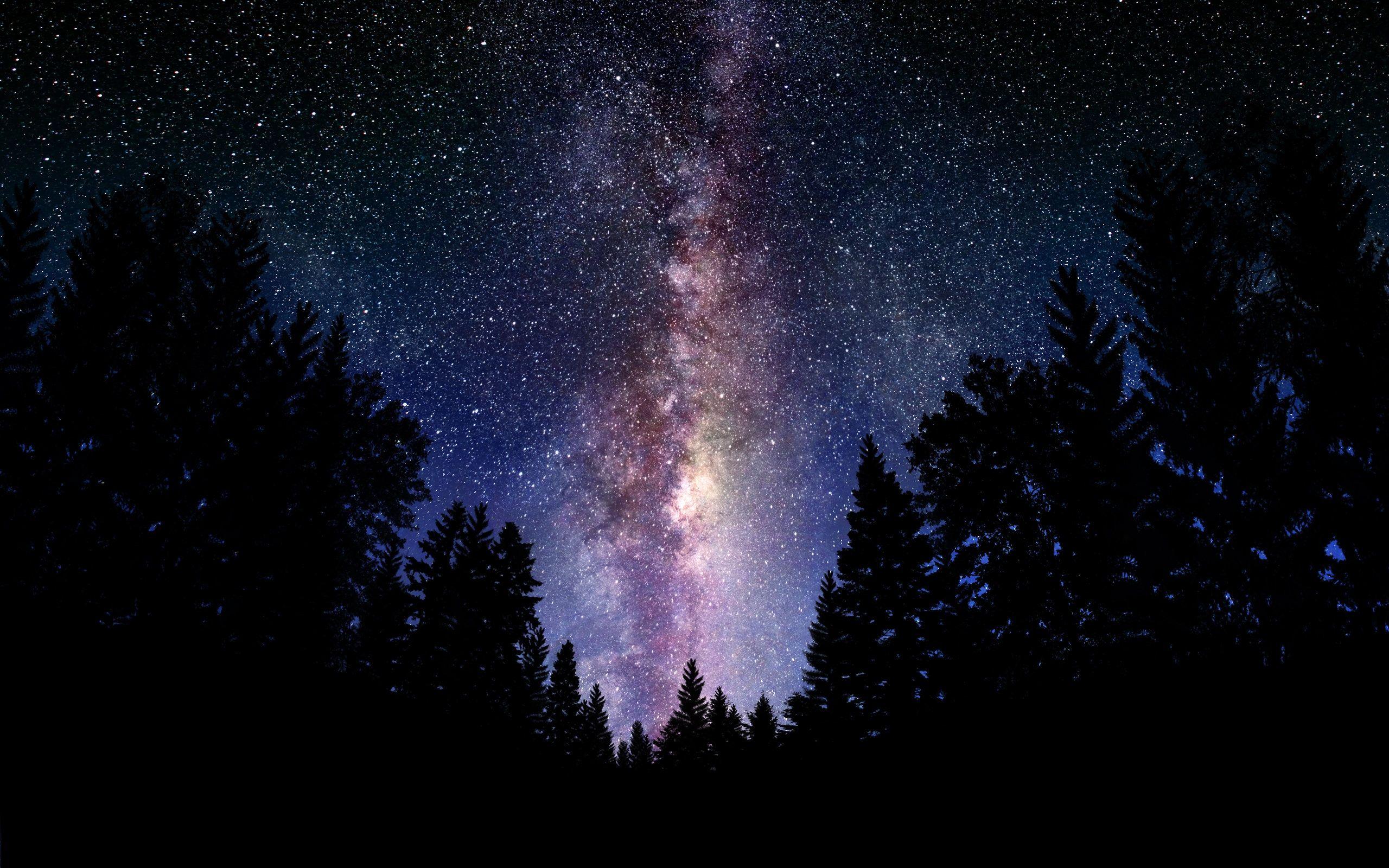 Galaxy Forest Wallpapers - Top Free Galaxy Forest Backgrounds ...