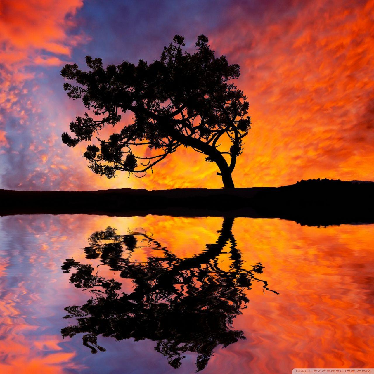 Water Reflection Wallpapers Top Free Water Reflection Backgrounds