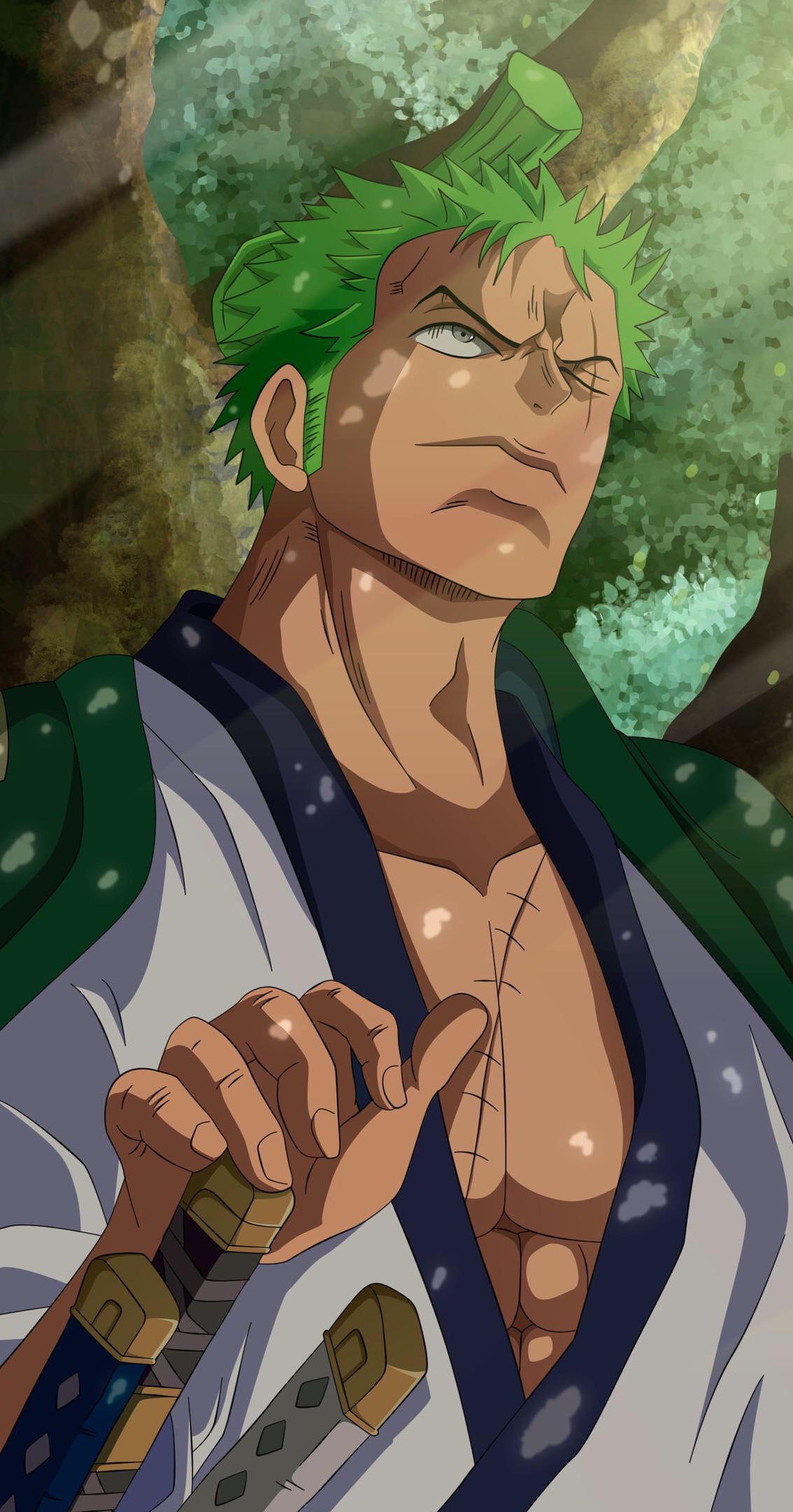 Zorojuro Wallpapers - Top Free Zorojuro Backgrounds - WallpaperAccess