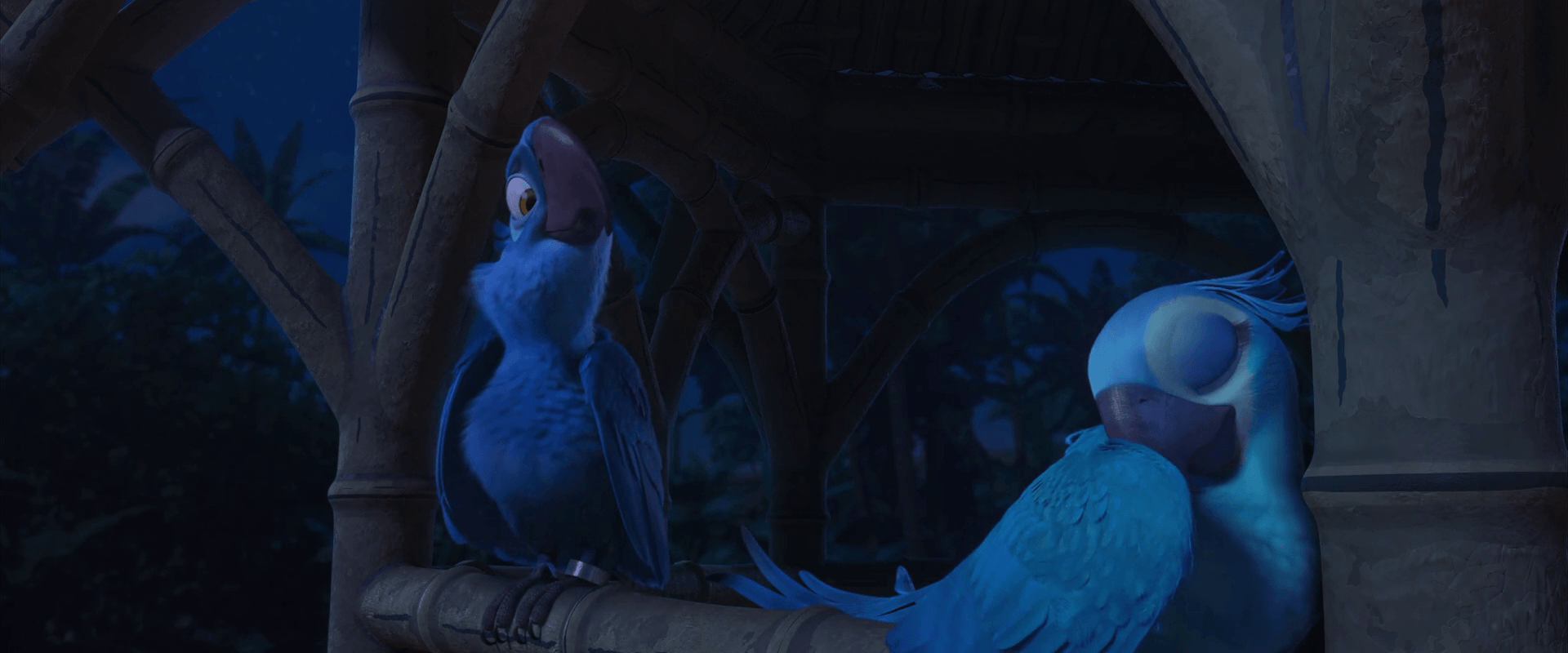 Rio Jewel Wallpapers - Top Free Rio Jewel Backgrounds - WallpaperAccess