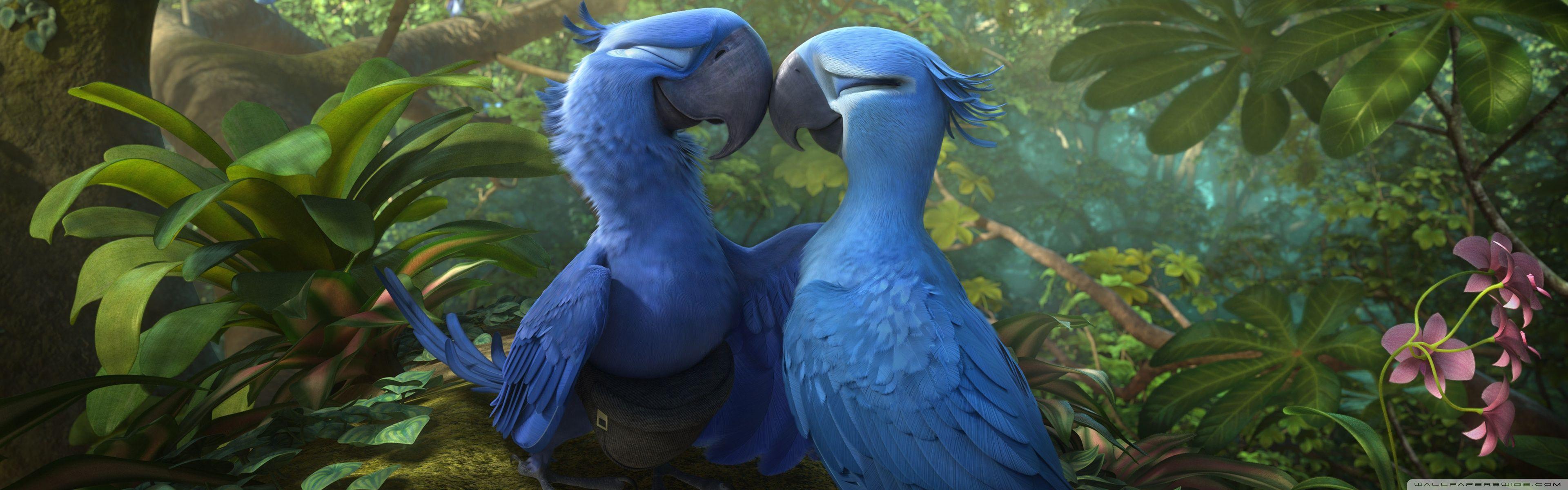 Rio Jewel Wallpapers - Top Free Rio Jewel Backgrounds - WallpaperAccess