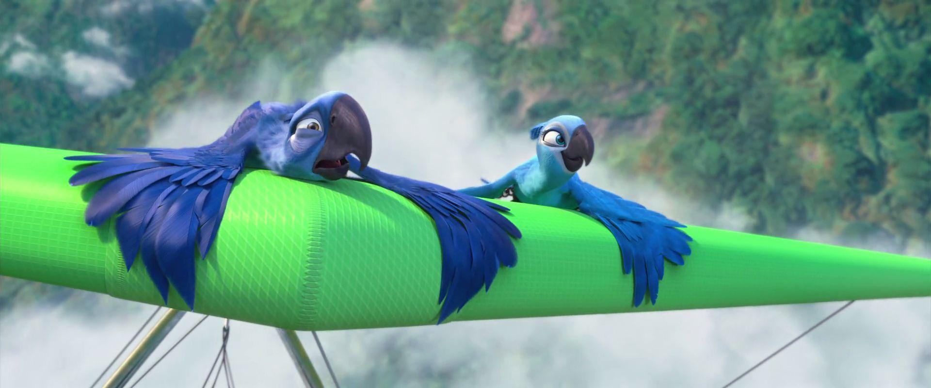 Rio Jewel Wallpapers - Top Free Rio Jewel Backgrounds - WallpaperAccess