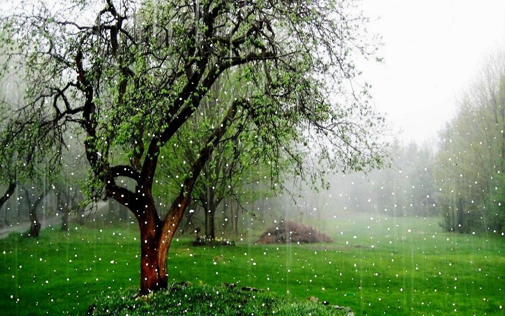 Fall Rain Wallpapers - Top Free Fall Rain Backgrounds - WallpaperAccess