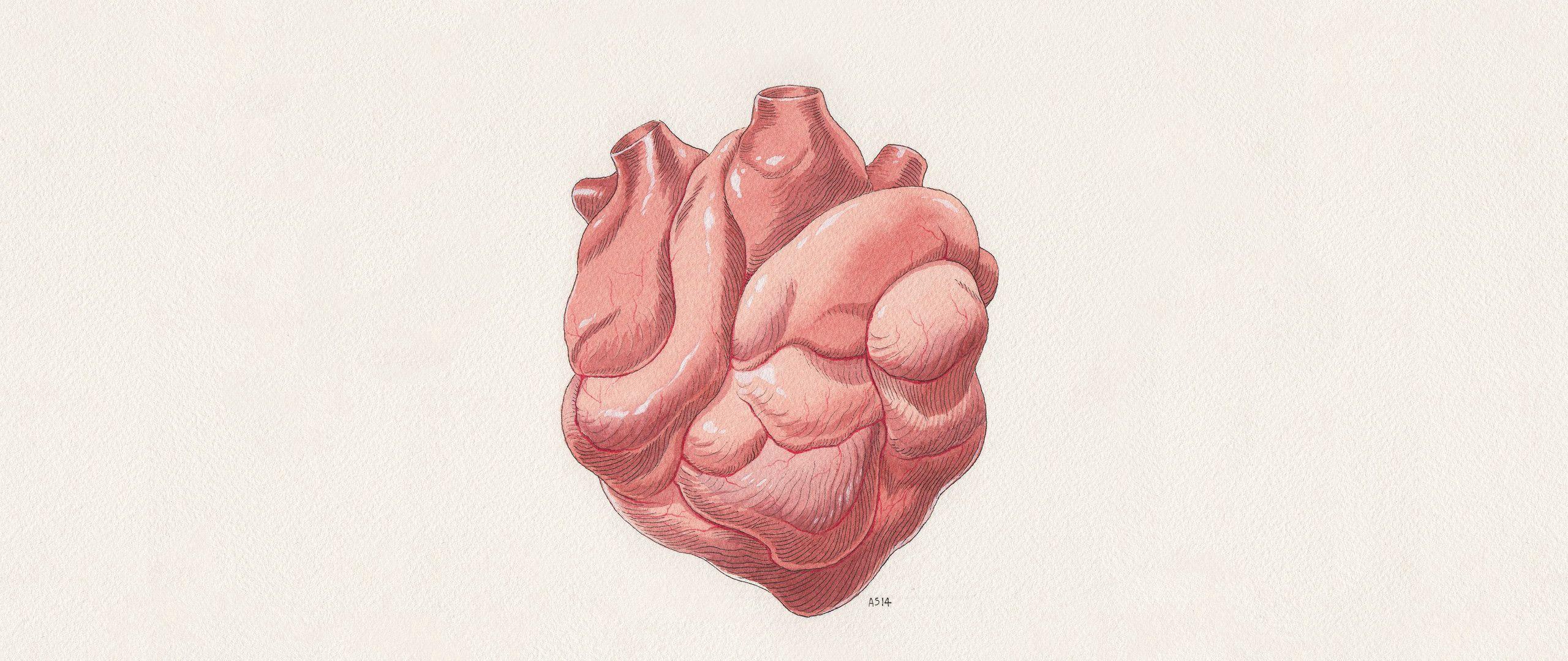 Anatomy Art Wallpapers - Top Free Anatomy Art Backgrounds - WallpaperAccess