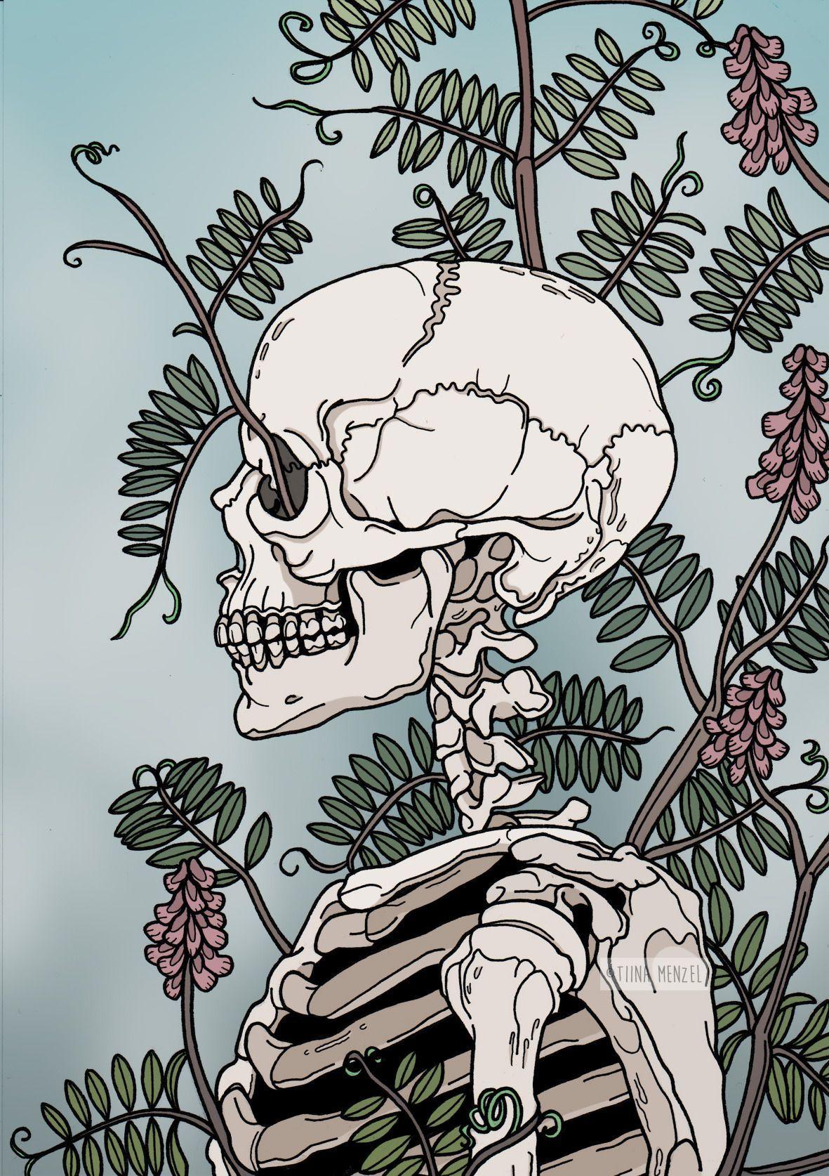 Anatomy Art Wallpapers - Top Free Anatomy Art Backgrounds - WallpaperAccess