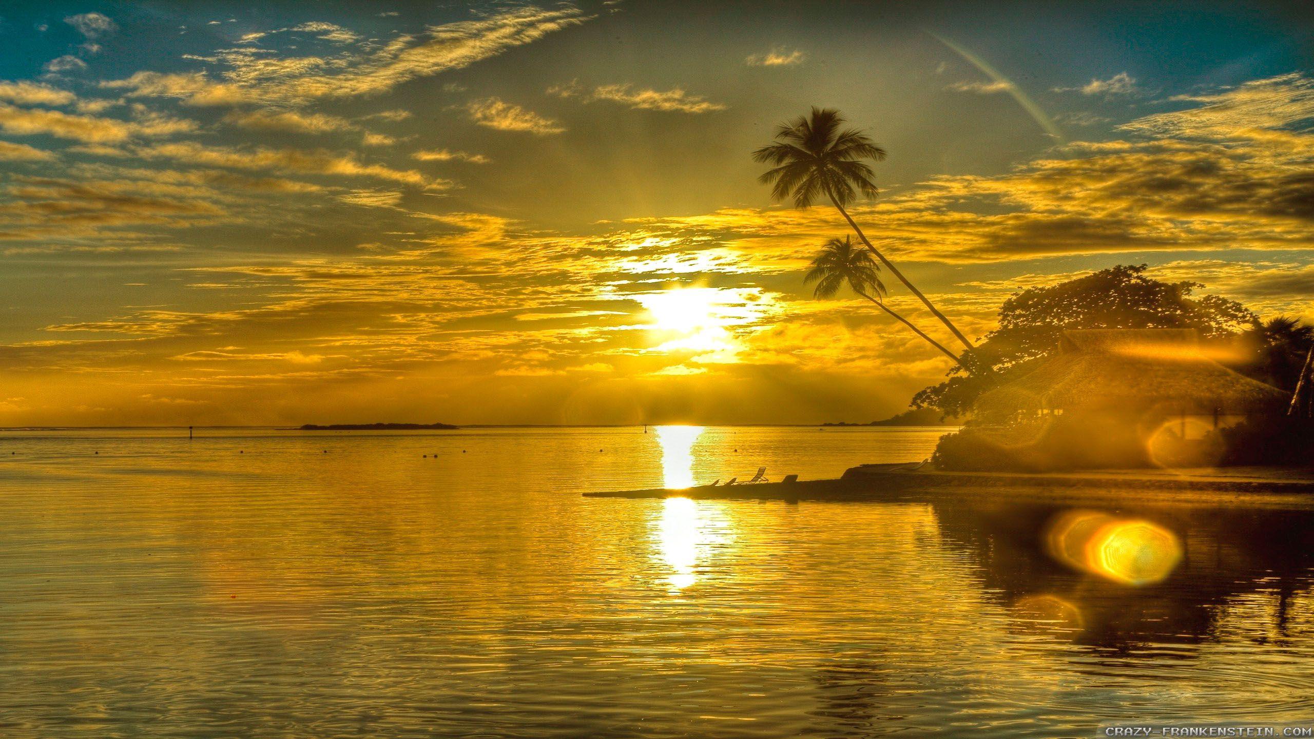 Sun Computer Wallpapers - Top Free Sun Computer Backgrounds ...