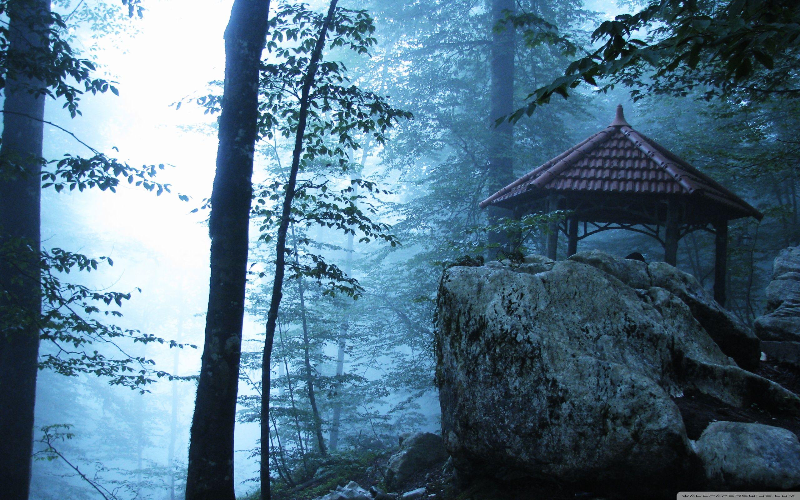 Iran Landscape Wallpapers - Top Free Iran Landscape Backgrounds ...