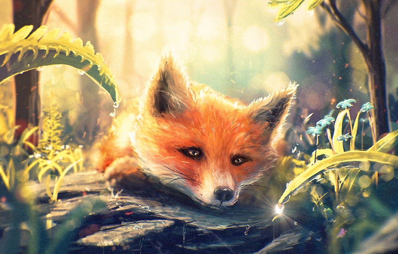 Fox Painting Wallpapers - Top Free Fox Painting Backgrounds ...