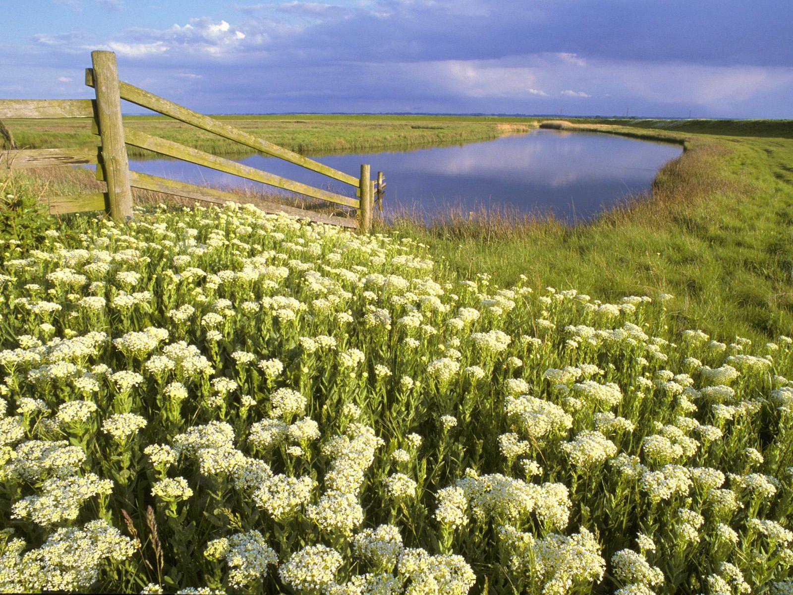 England Nature Wallpapers - Top Free England Nature Backgrounds ...