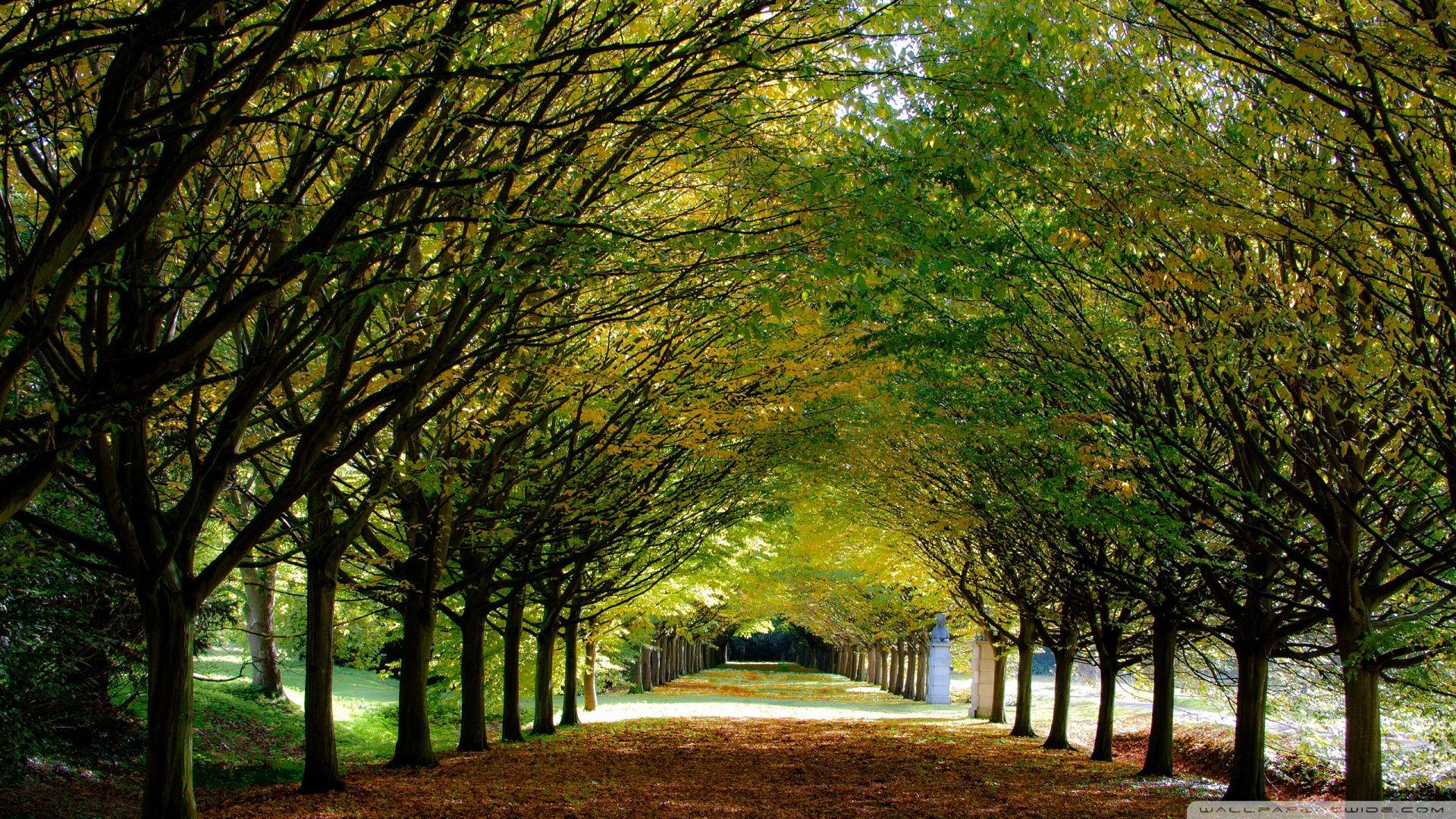 England Nature Wallpapers - Top Free England Nature Backgrounds ...