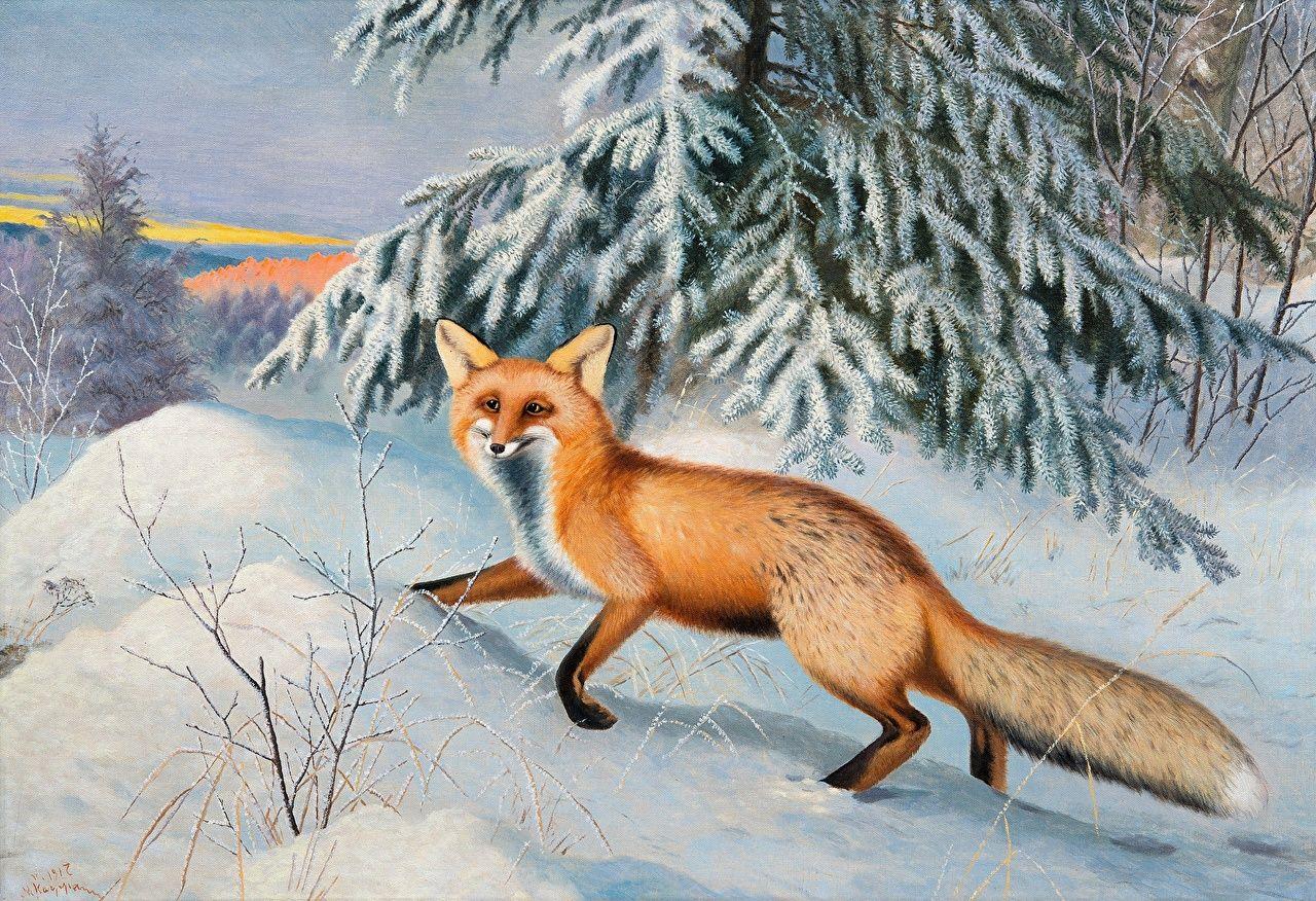 Fox Painting Wallpapers - Top Free Fox Painting Backgrounds ...