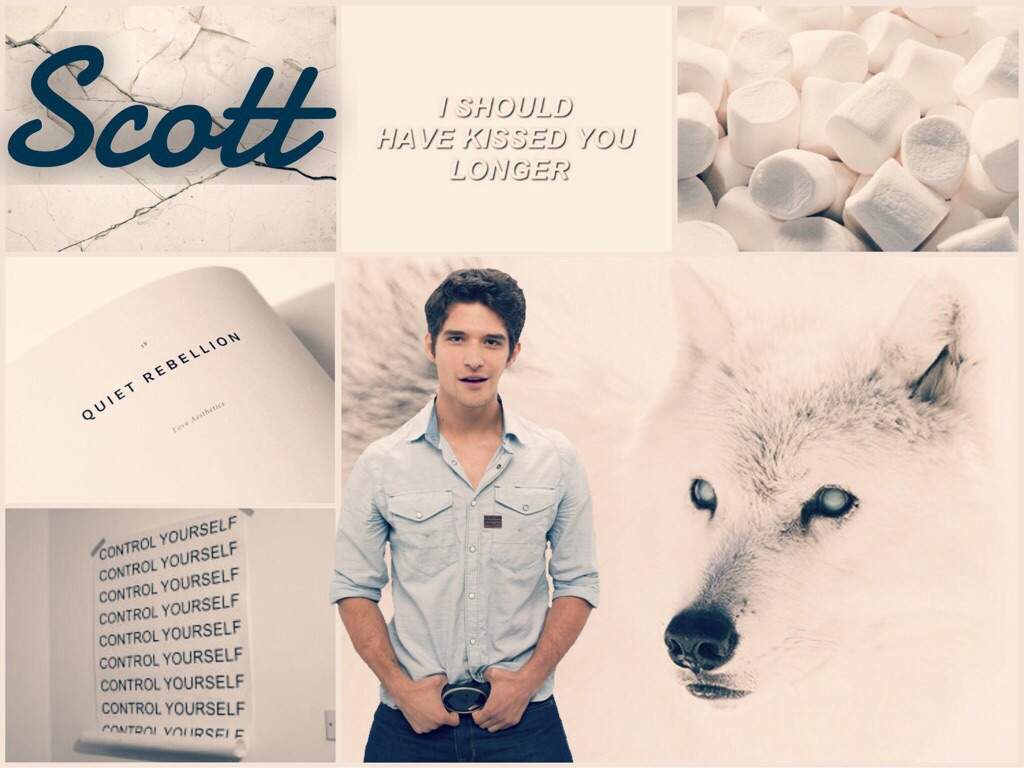 Scott McCall Wallpapers - Top Free Scott McCall Backgrounds ...