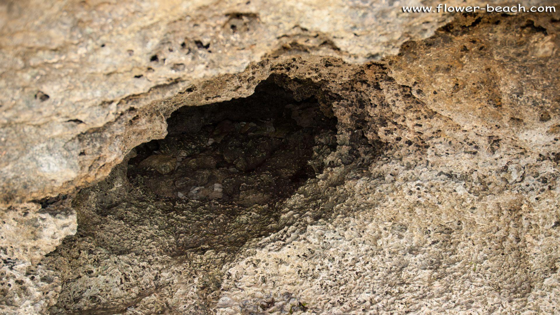 Bohol Wallpapers - Top Free Bohol Backgrounds - WallpaperAccess