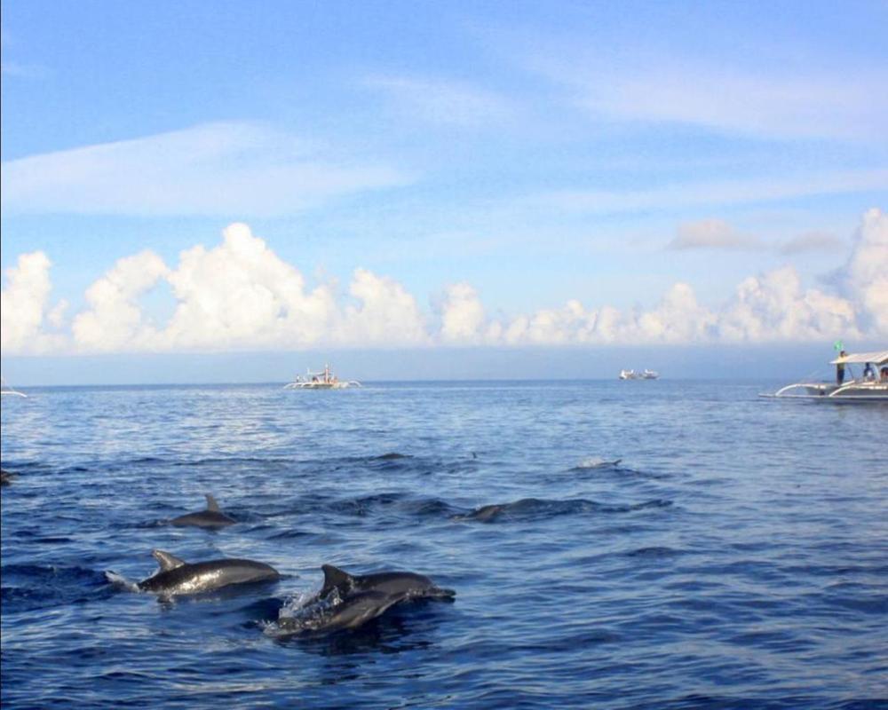 Bohol Wallpapers - Top Free Bohol Backgrounds - WallpaperAccess