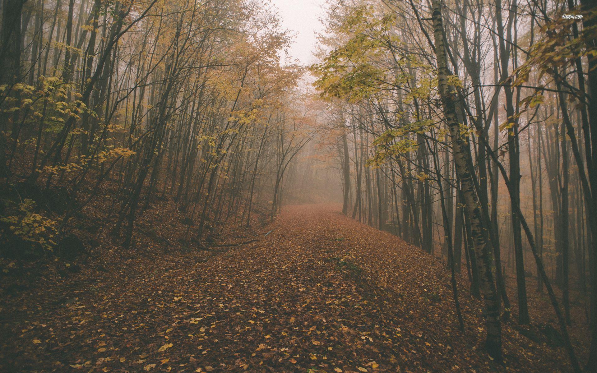 Hipster Nature Wallpapers - Top Free Hipster Nature Backgrounds ...