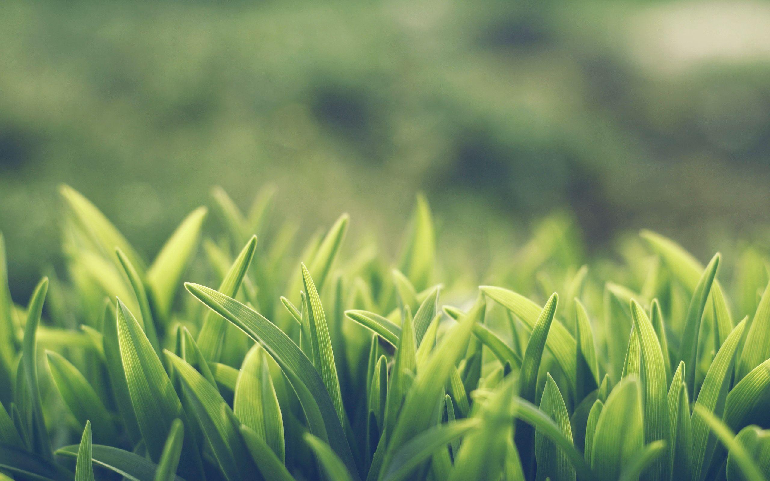 Hipster Nature Wallpapers - Top Free Hipster Nature Backgrounds ...