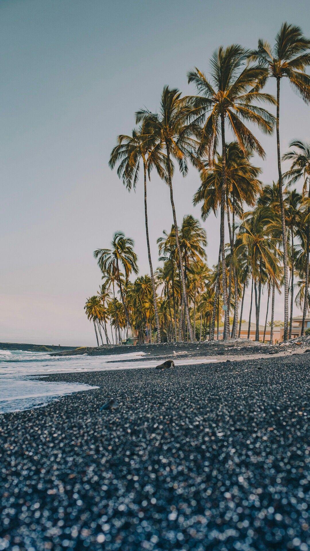 Coconut Beach Wallpapers - Top Free Coconut Beach Backgrounds ...