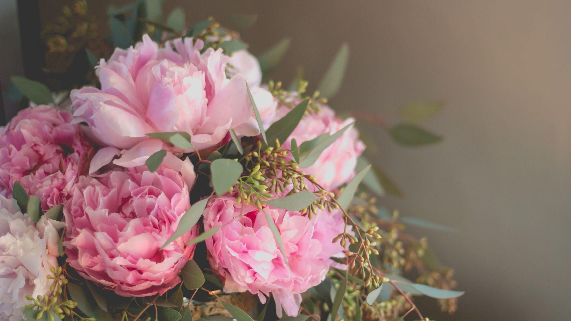 Peonies HD Wallpapers - Top Free Peonies HD Backgrounds - WallpaperAccess