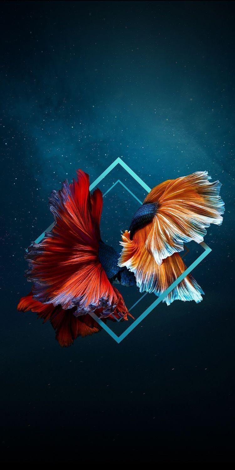 Flow iPhone Wallpapers - Top Free Flow iPhone Backgrounds - WallpaperAccess