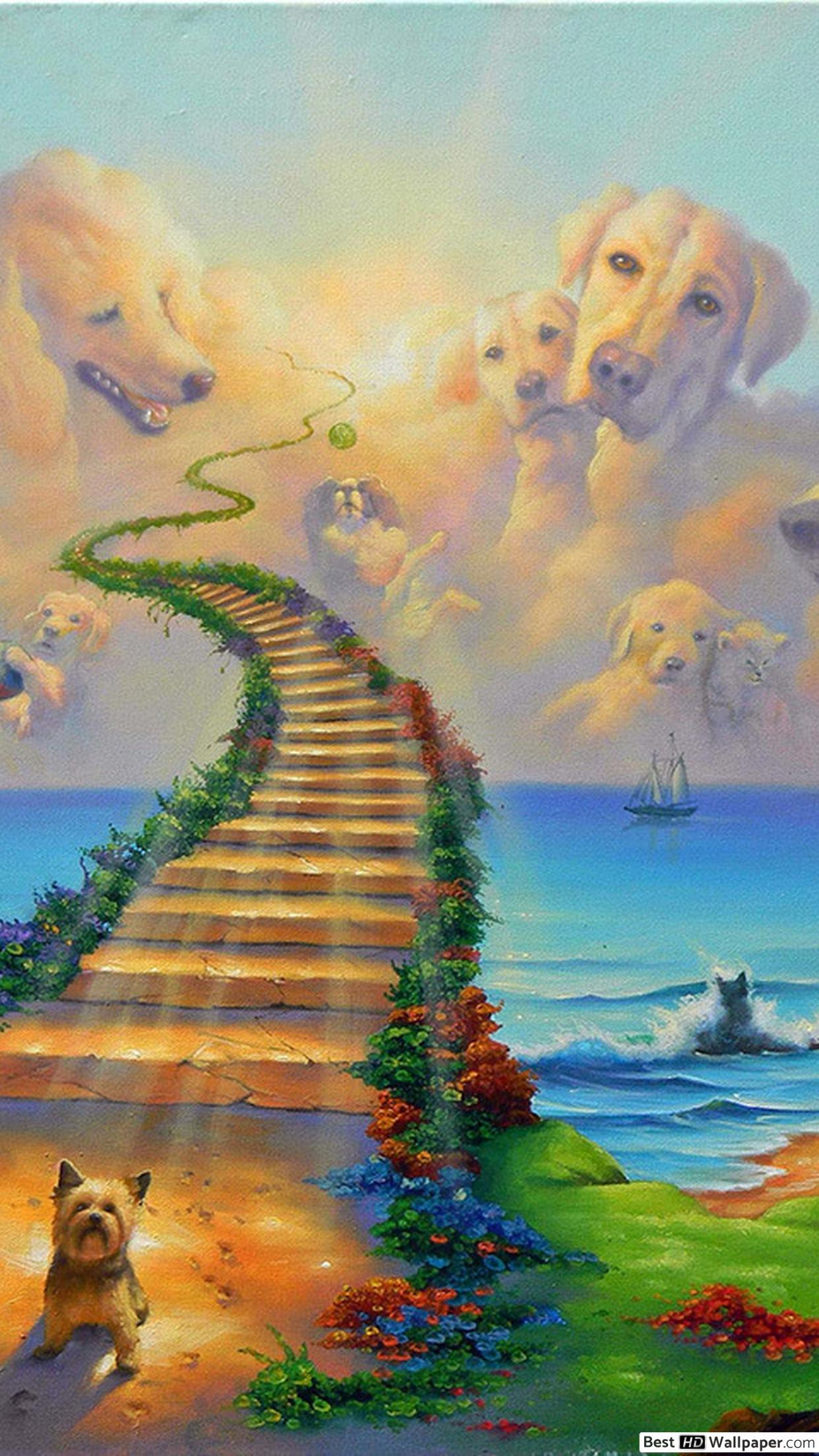 Heaven iPhone Wallpapers - Top Free Heaven iPhone Backgrounds ...