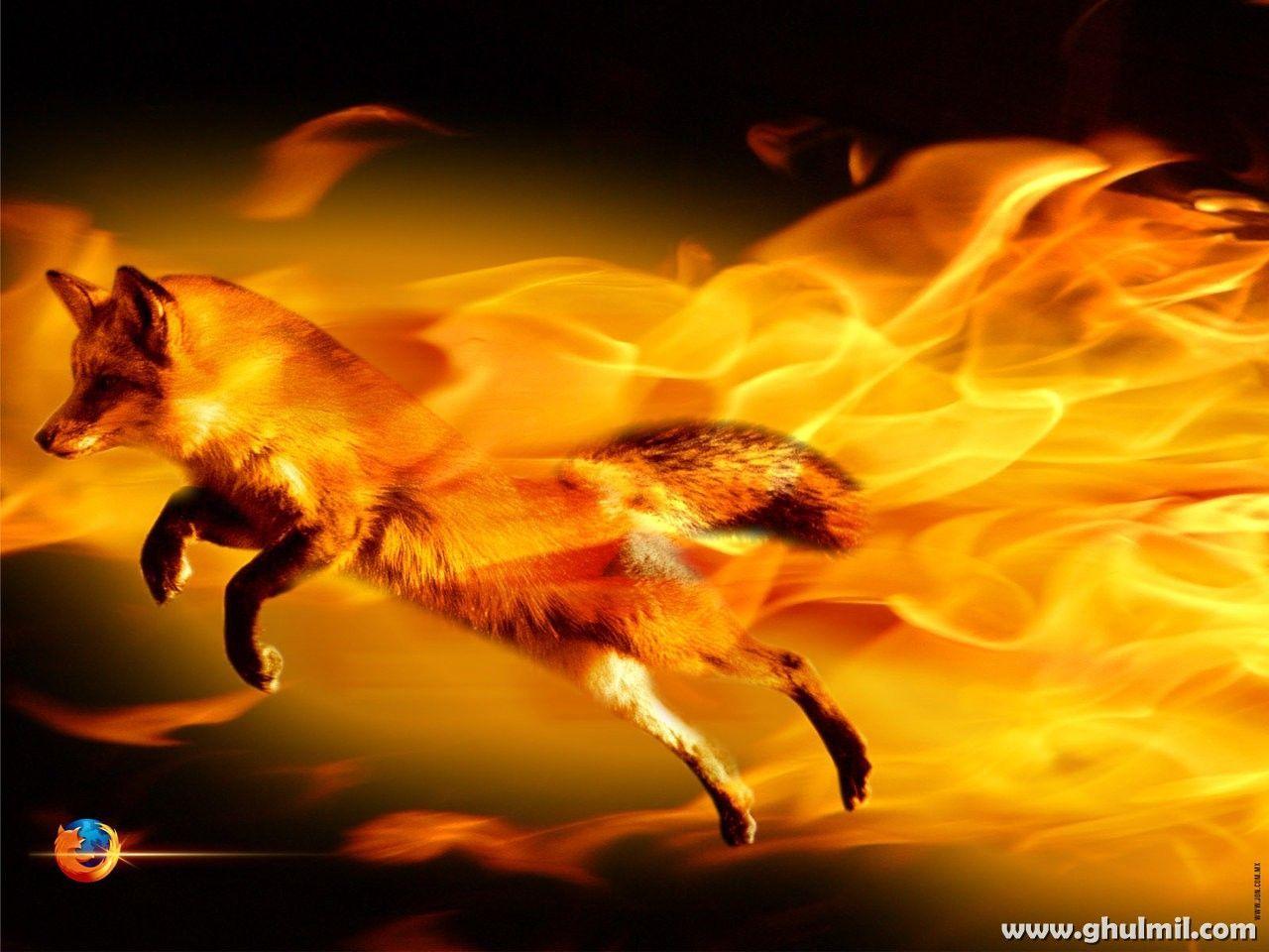 3D Firefox Wallpapers - Top Free 3D Firefox Backgrounds - WallpaperAccess