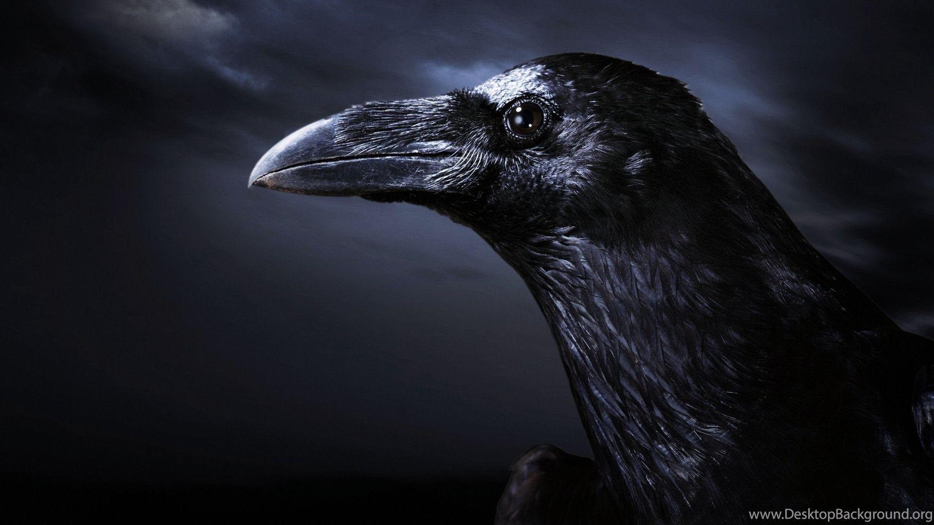 The Crow 4K Wallpapers - Top Free The Crow 4K Backgrounds - WallpaperAccess