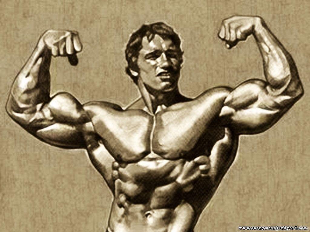 Arnold Desktop Wallpapers - Top Free Arnold Desktop Backgrounds ...