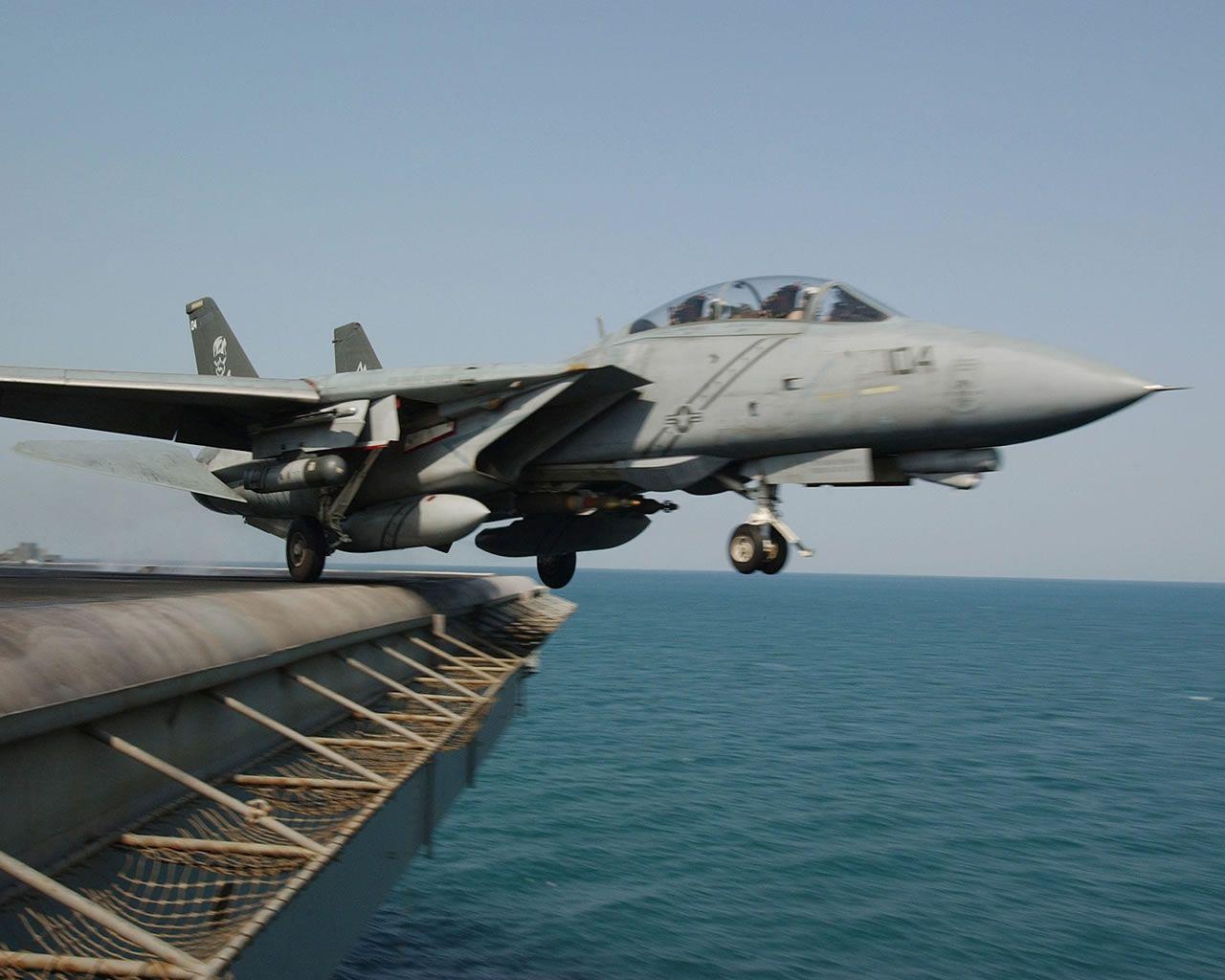 Tomcat Wallpapers - Top Free Tomcat Backgrounds - WallpaperAccess