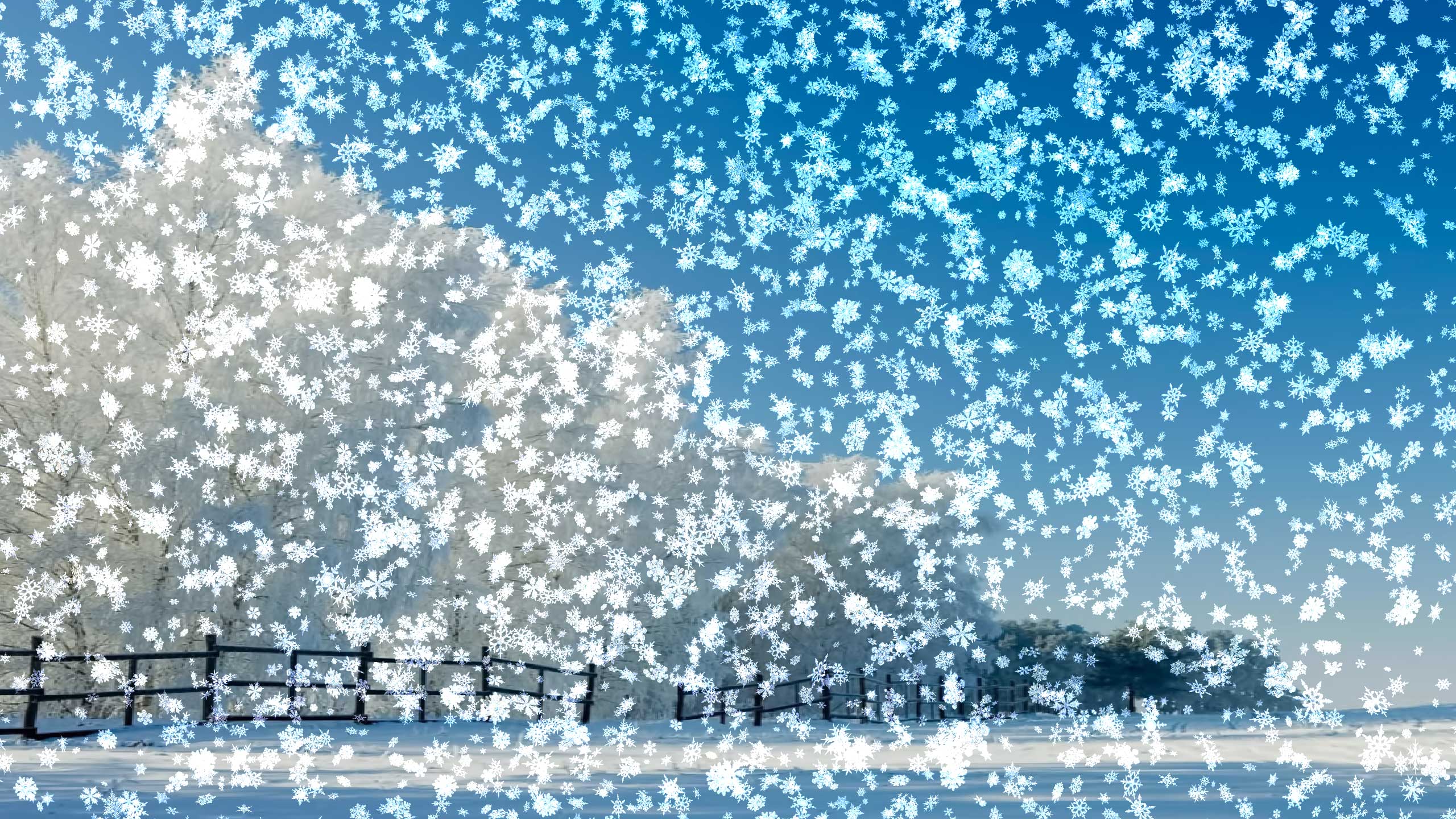 Blue Winter Wallpapers - Top Free Blue Winter Backgrounds - WallpaperAccess