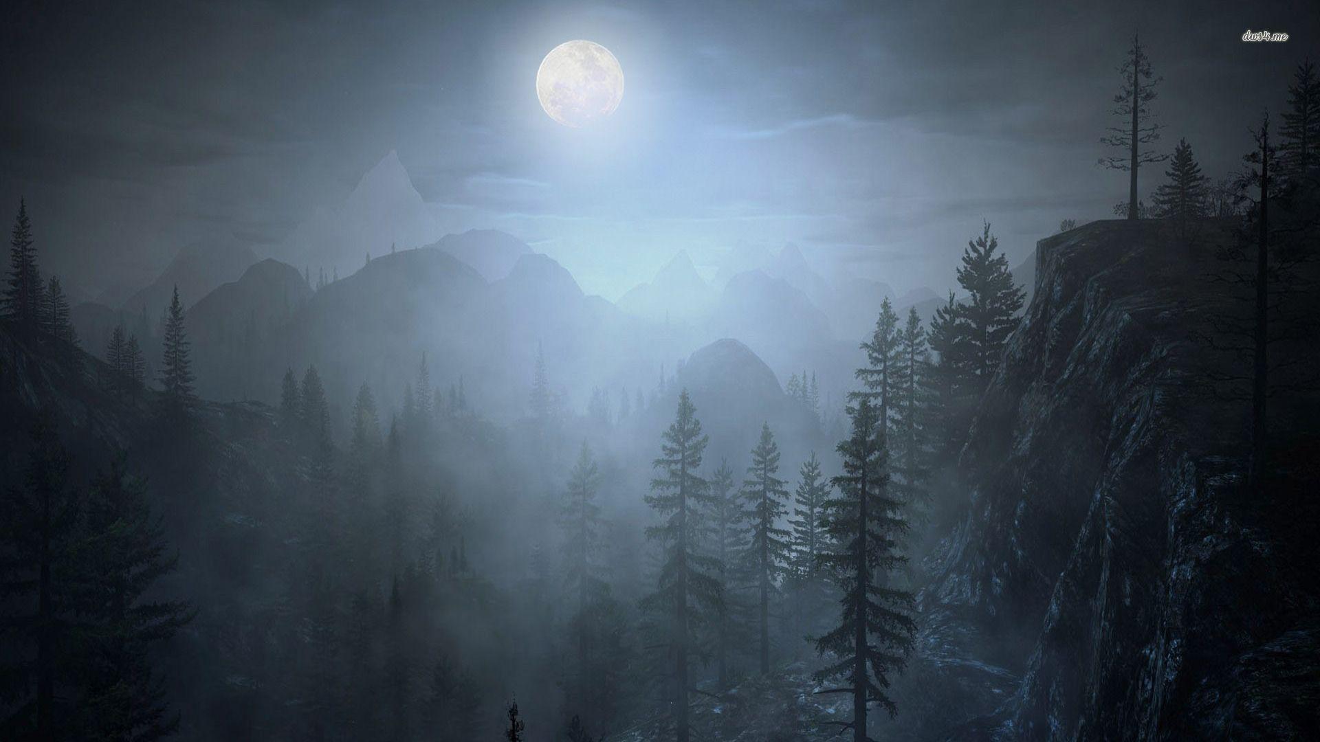 Forest Night Wallpapers - Top Free Forest Night Backgrounds ...