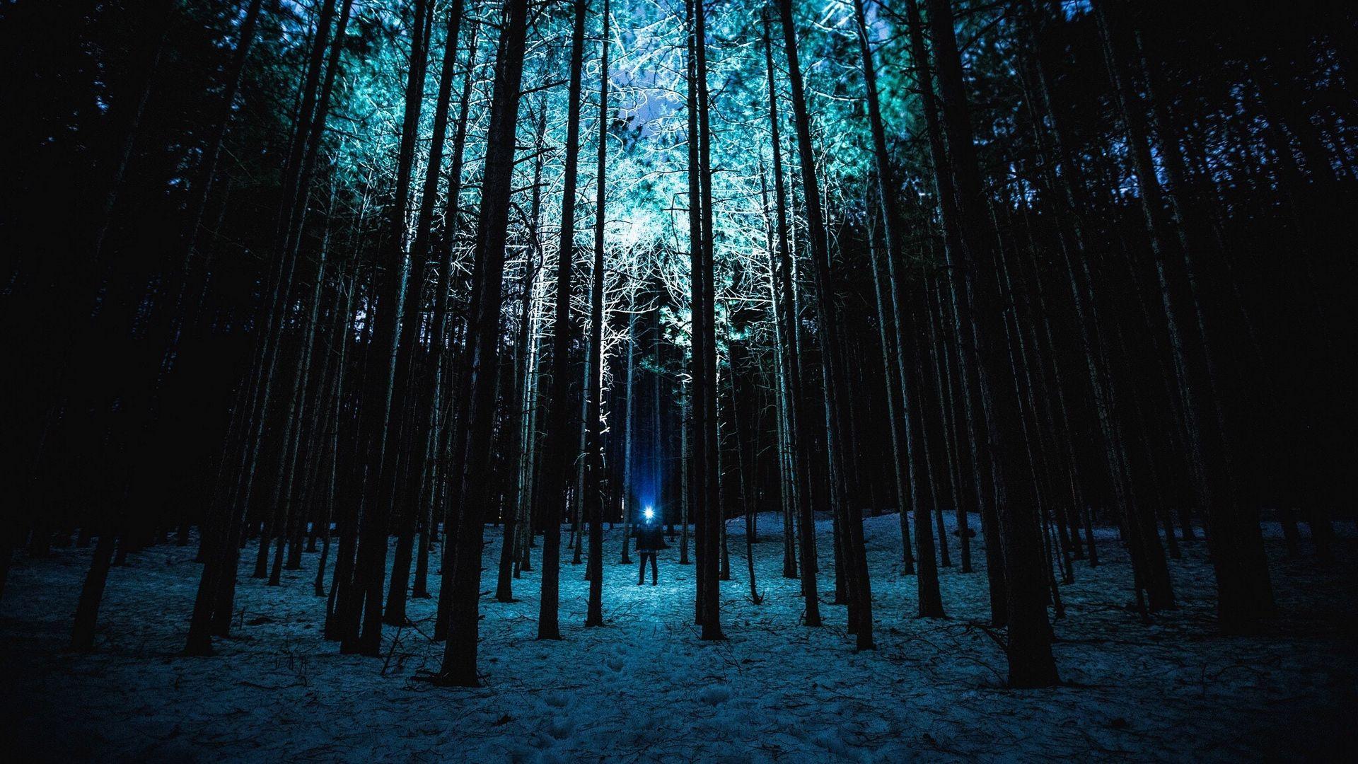 Forest Night Wallpapers - Top Free Forest Night Backgrounds ...
