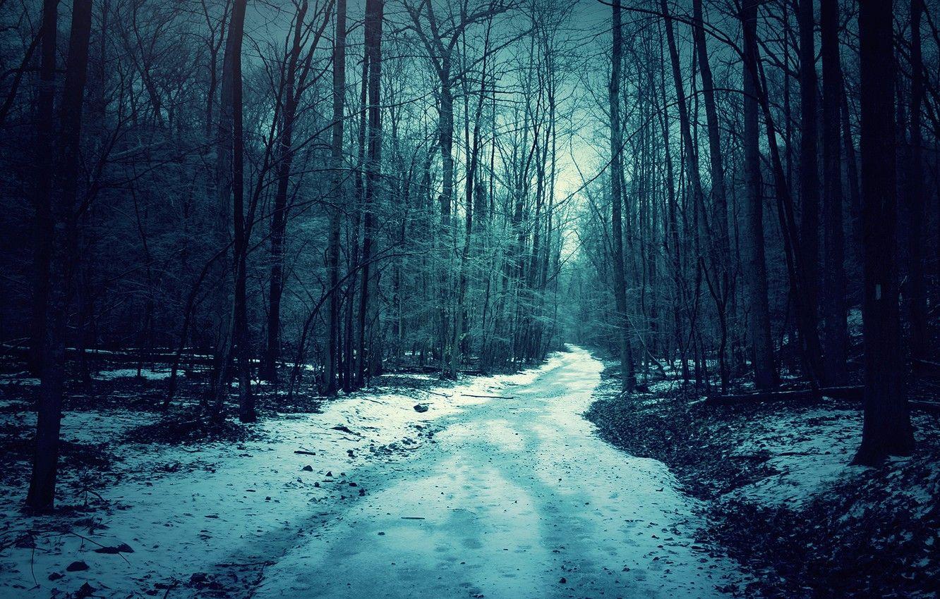 Snow Night HD Wallpapers - Top Free Snow Night HD Backgrounds ...
