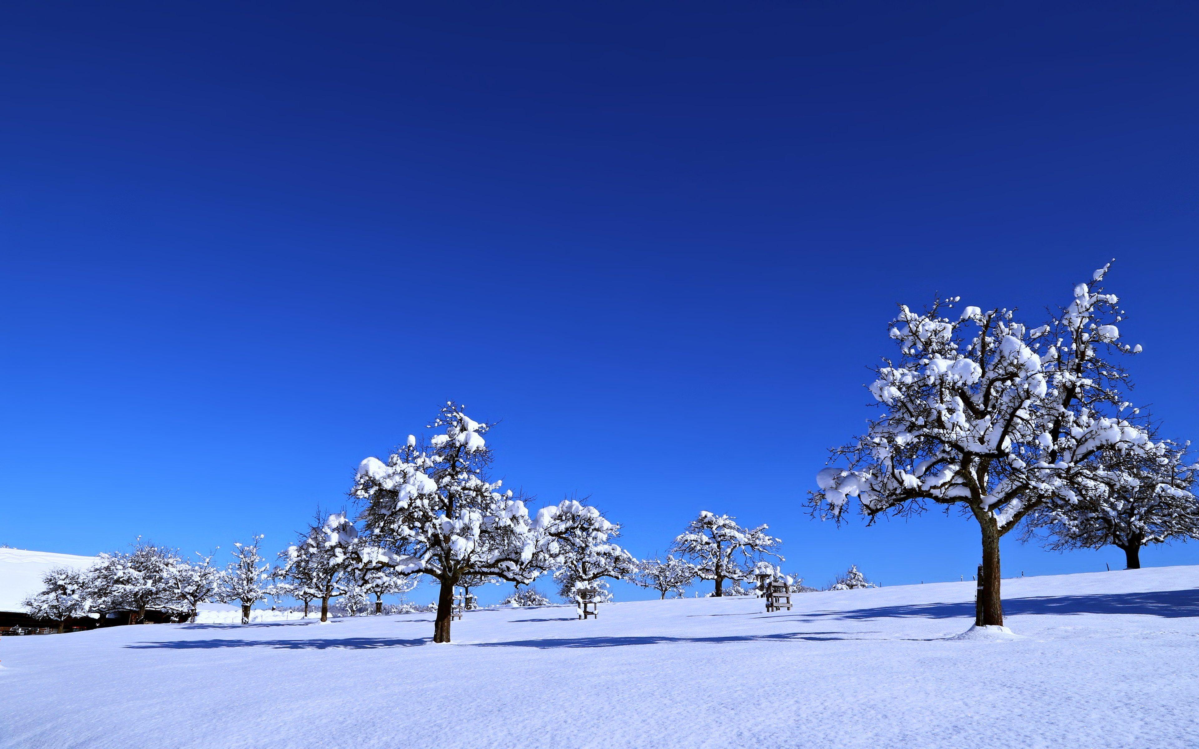Blue Winter Wallpapers - Top Free Blue Winter Backgrounds - WallpaperAccess