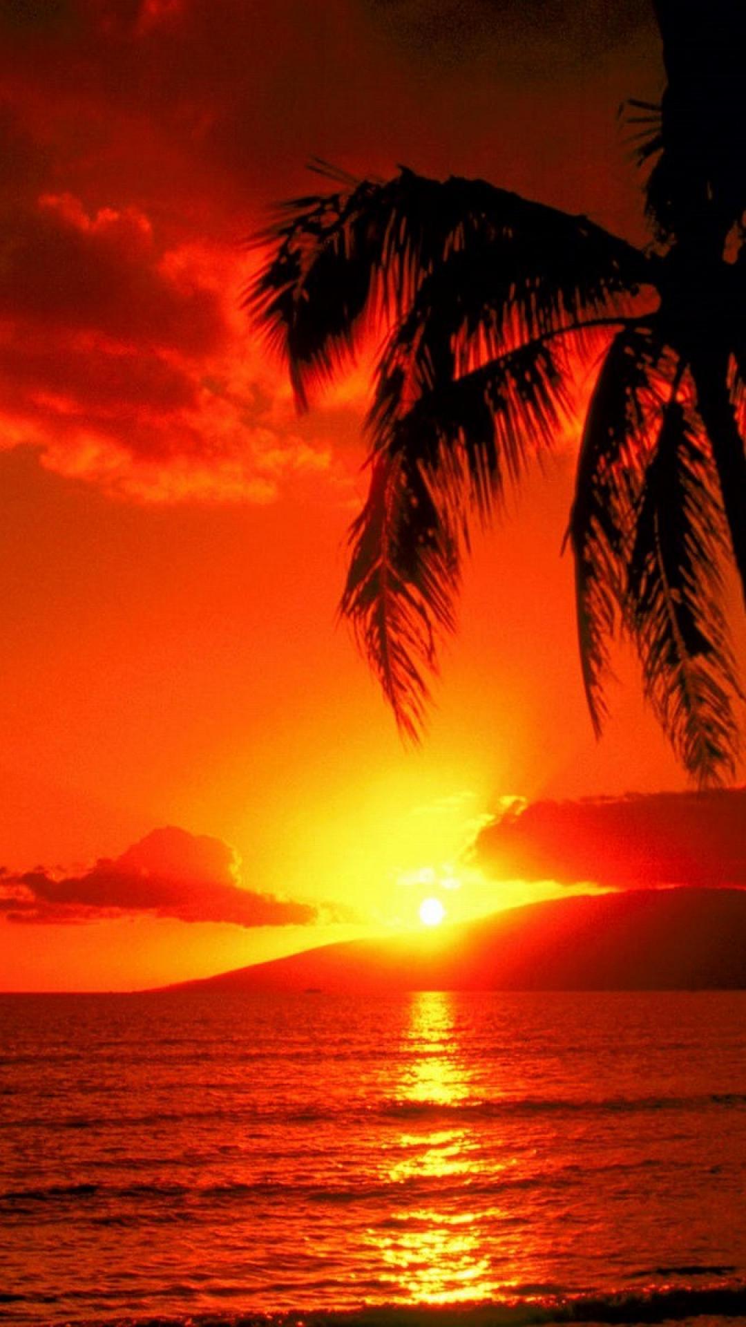 Sunset Mobile Wallpapers - Top Free Sunset Mobile Backgrounds ...