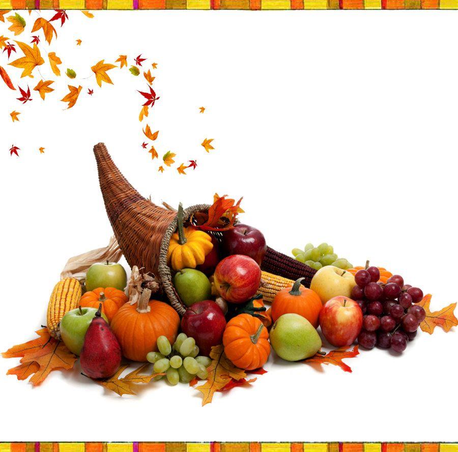 Thanksgiving Cornucopia Wallpapers - Top Free Thanksgiving Cornucopia ...