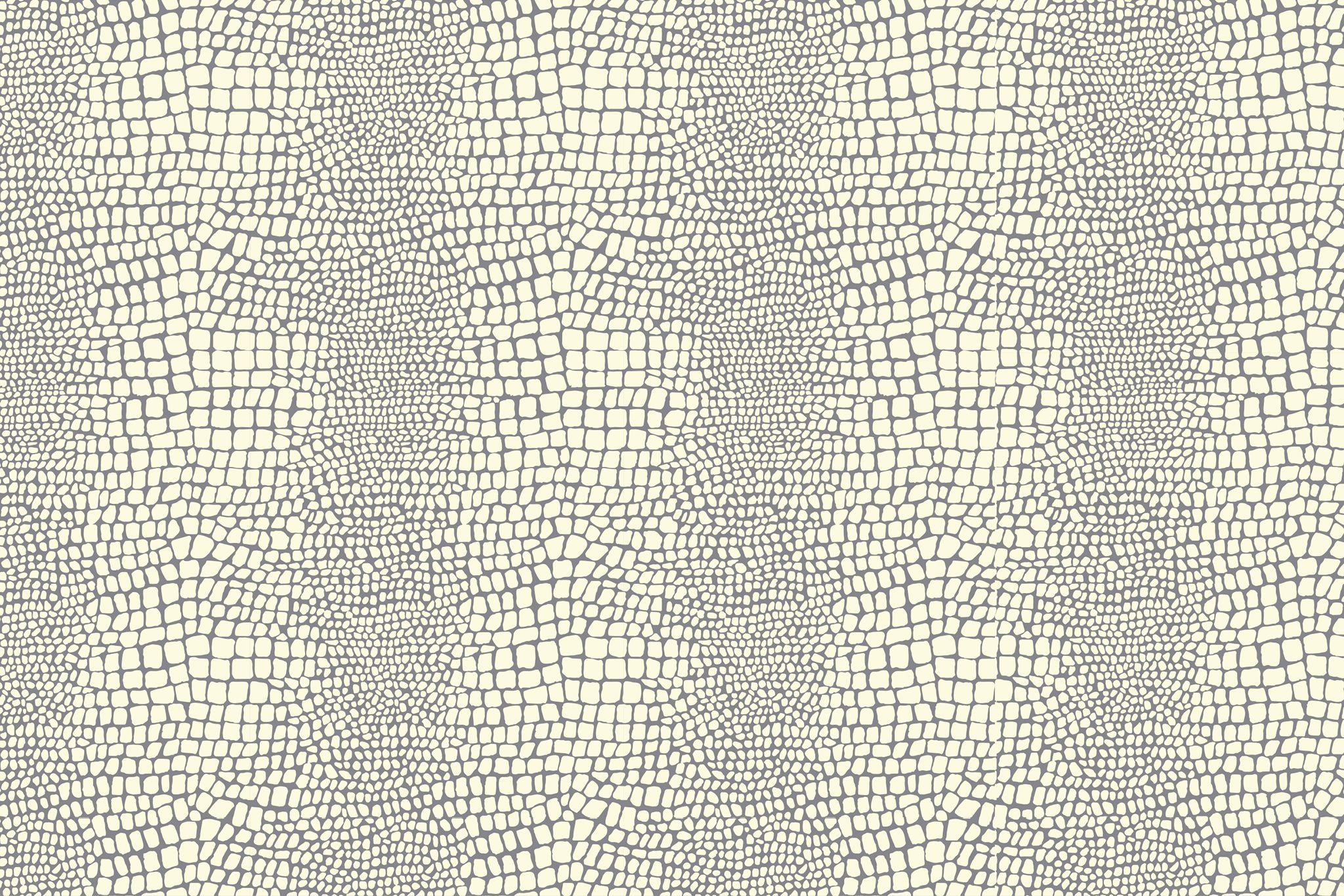 Snake Print Wallpapers - Top Free Snake Print Backgrounds - WallpaperAccess