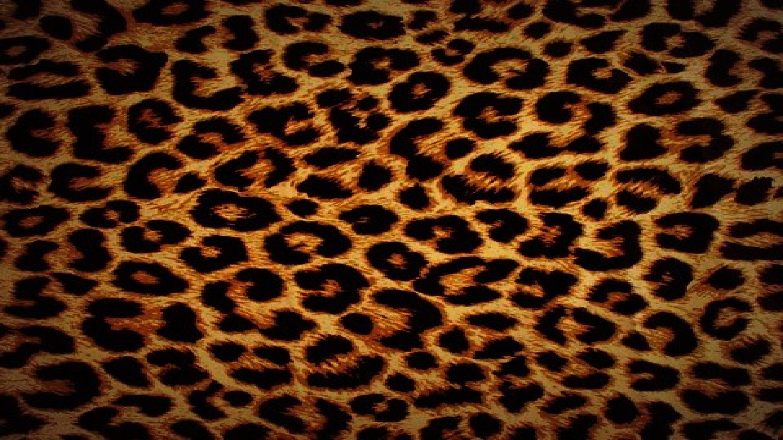 Girly Leopard Desktop Wallpapers - Top Free Girly Leopard Desktop ...