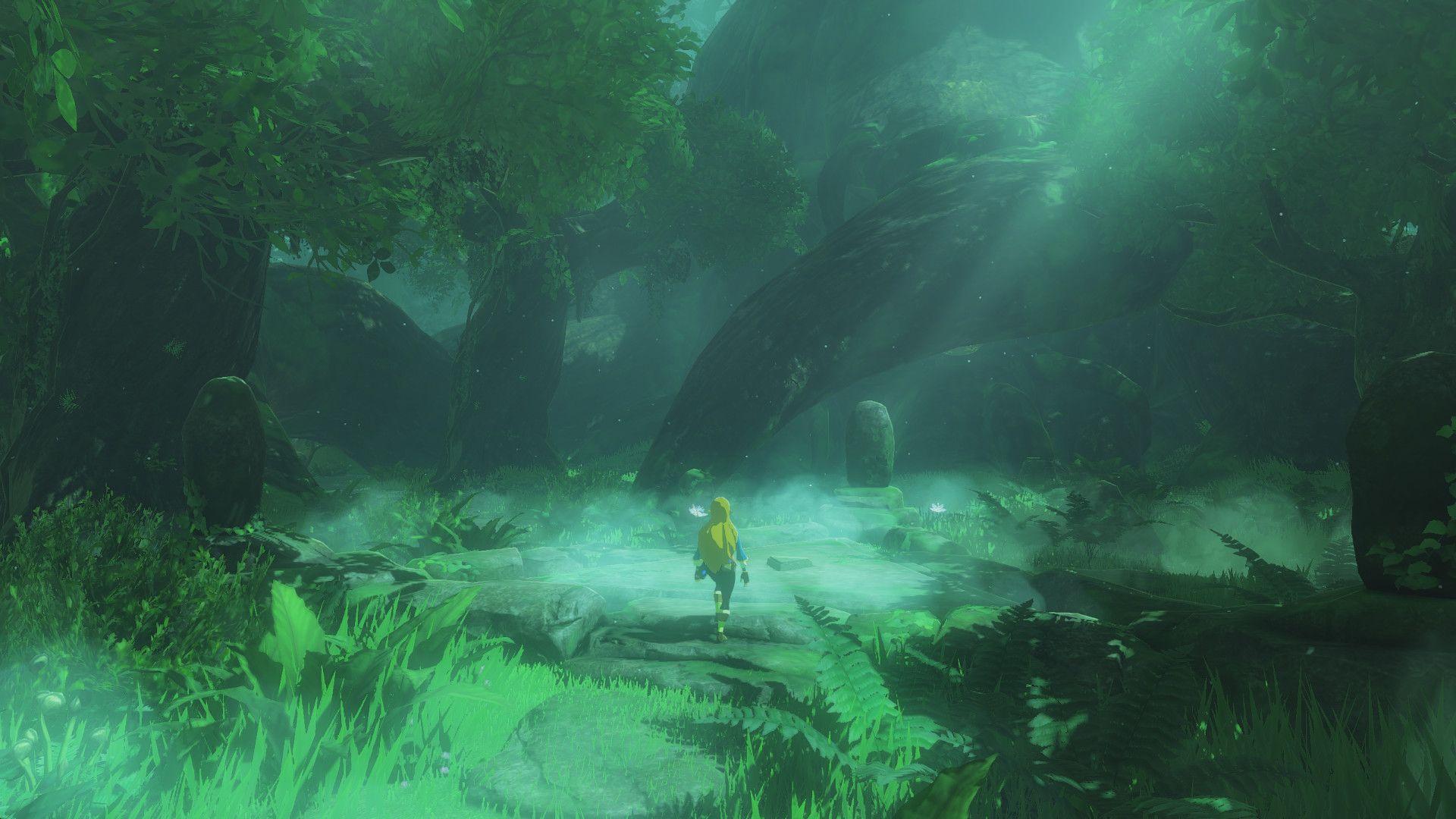 Zelda PC Wallpapers - Top Free Zelda PC Backgrounds - WallpaperAccess