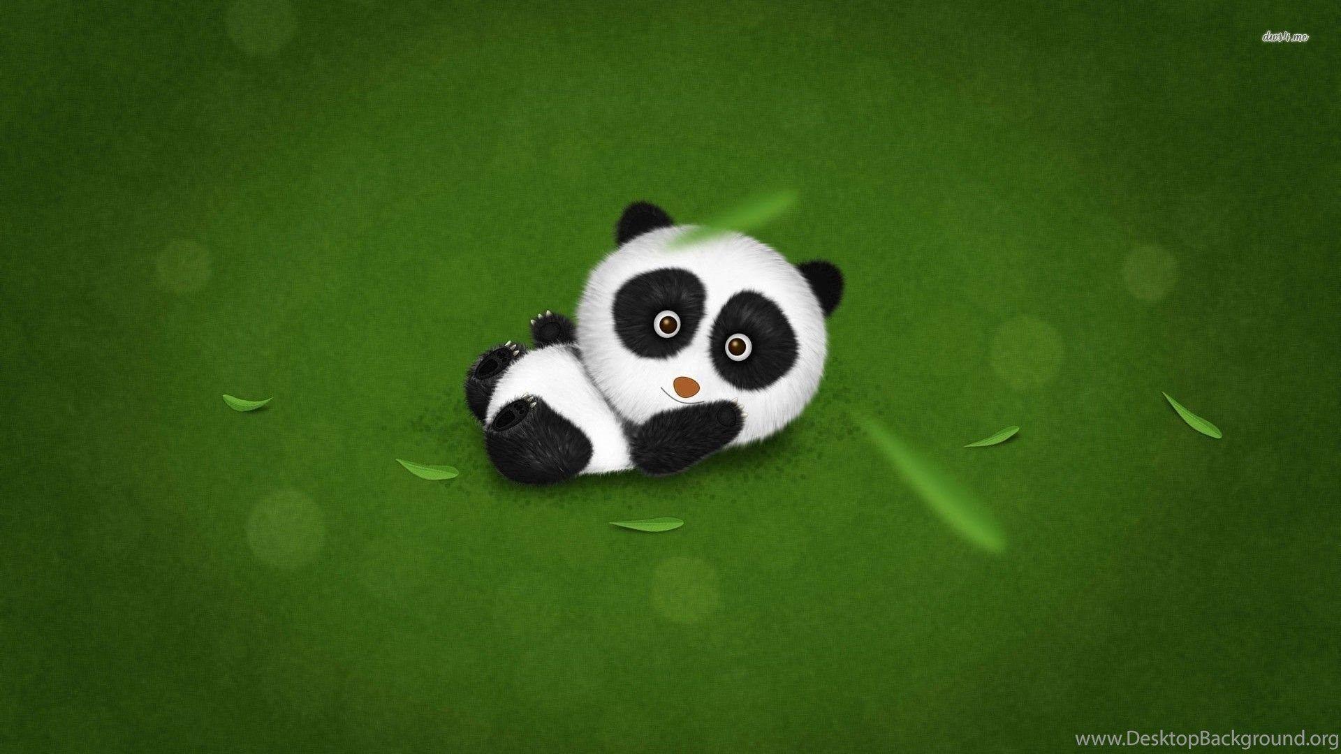 HD Panda Bear Wallpapers - Top Free HD Panda Bear Backgrounds - WallpaperAccess
