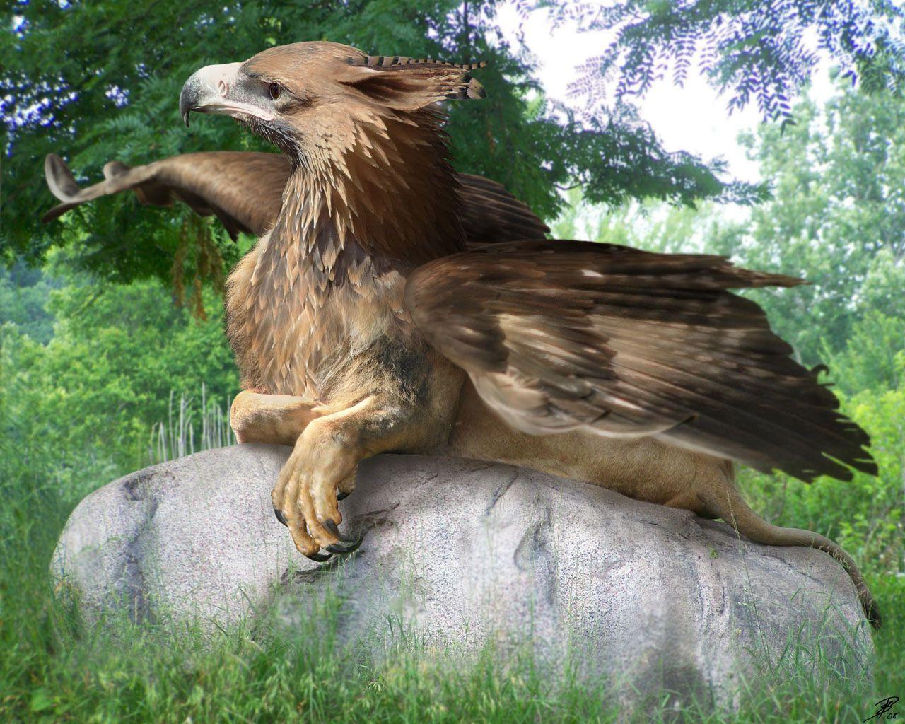 Gryphon Wallpapers - Top Free Gryphon Backgrounds - WallpaperAccess