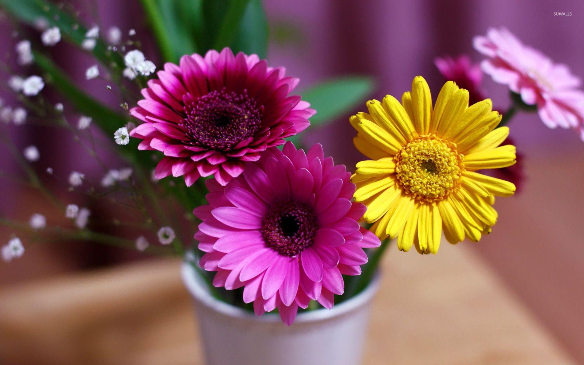 Pink and Yellow Flowers Wallpapers - Top Free Pink and Yellow Flowers ...