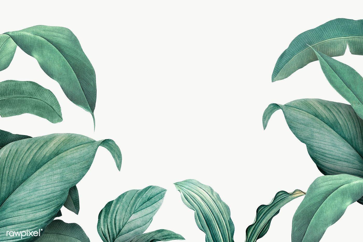 Transparent Computer Wallpapers - Top Free Transparent Computer ...
