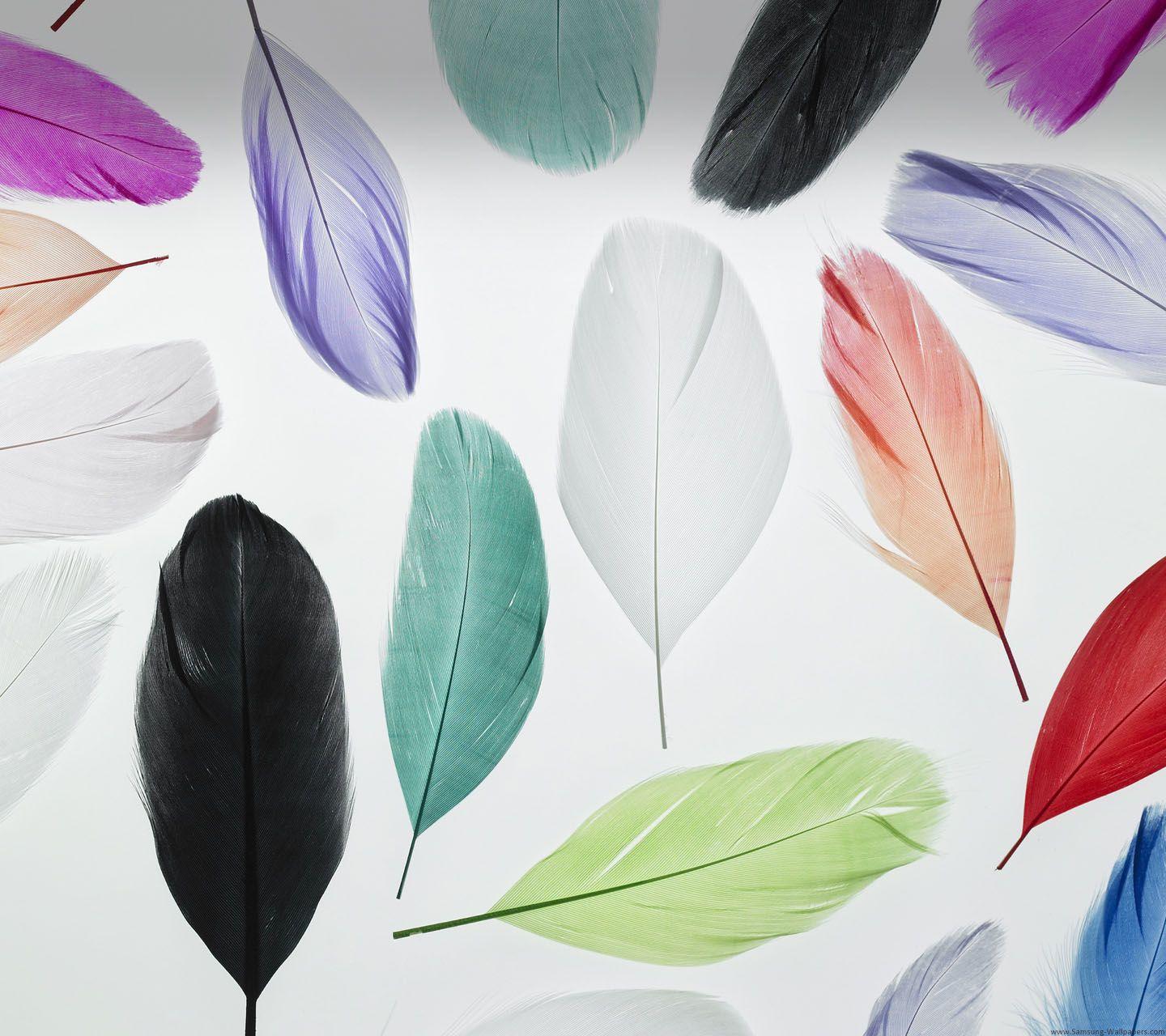 Feathers Desktop Wallpapers - Top Free Feathers Desktop Backgrounds ...