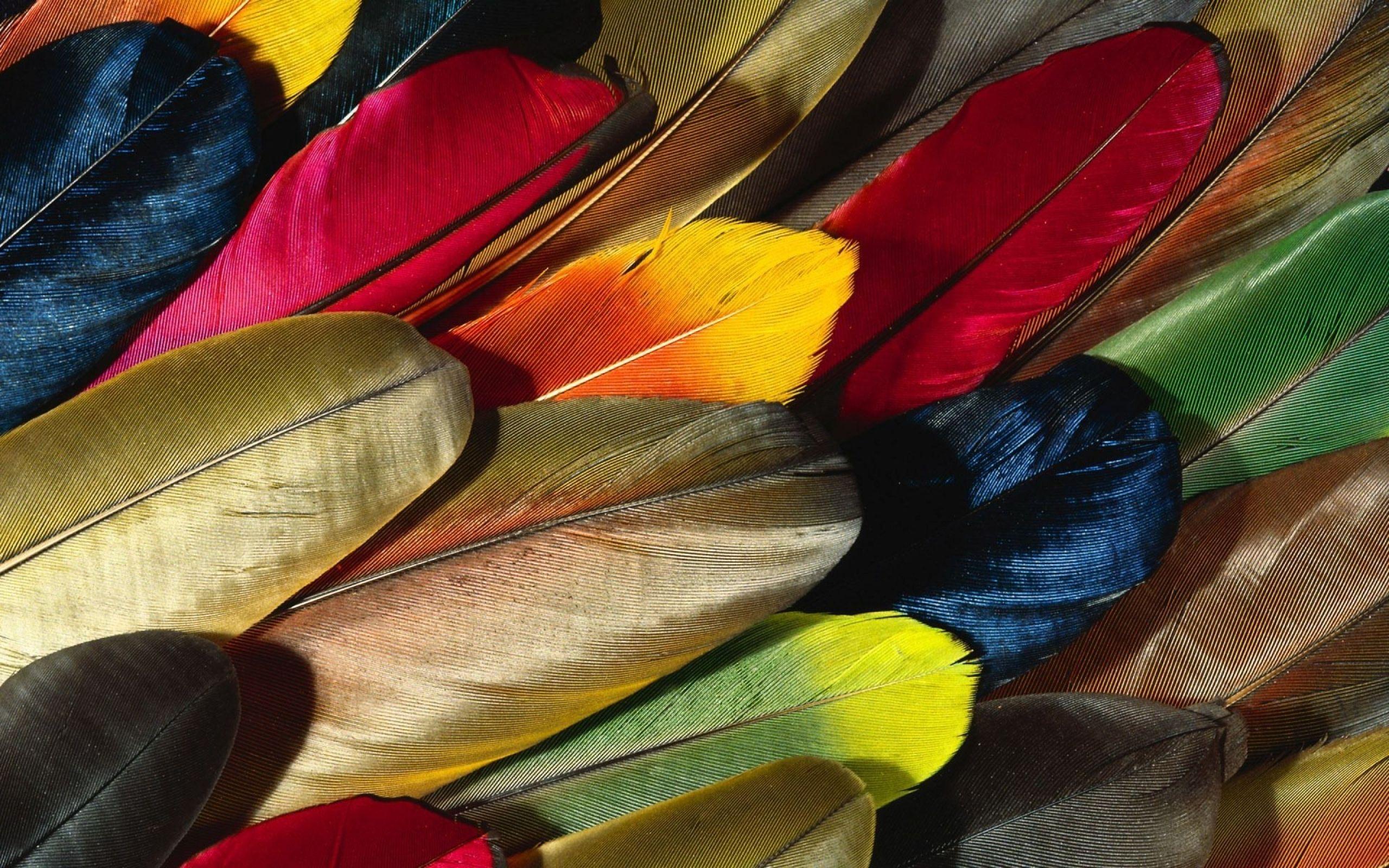 Feathers Desktop Wallpapers - Top Free Feathers Desktop Backgrounds ...