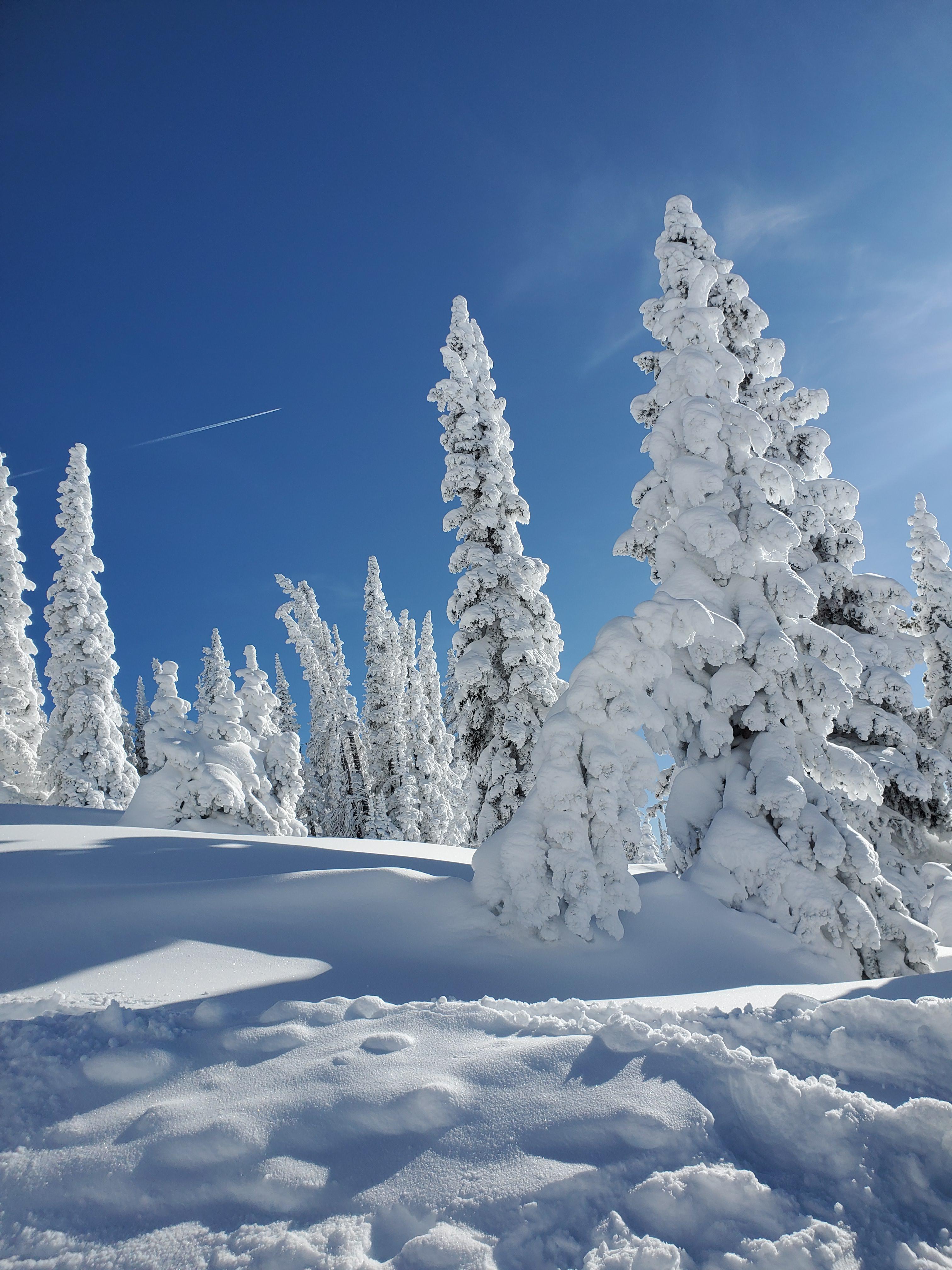 Colorado Springs Wallpapers - Top Free Colorado Springs Backgrounds ...