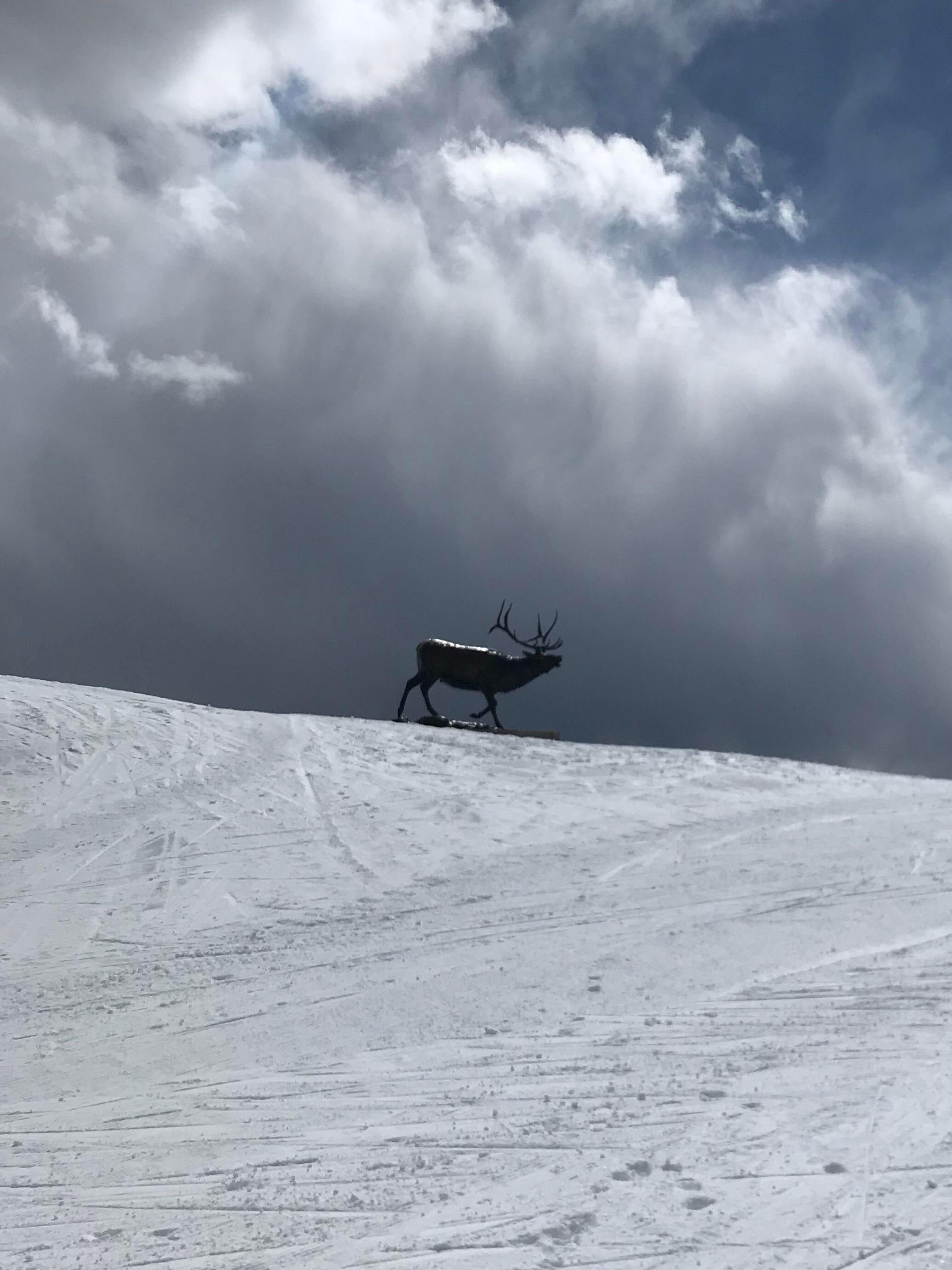 Vail Wallpapers - Top Free Vail Backgrounds - WallpaperAccess