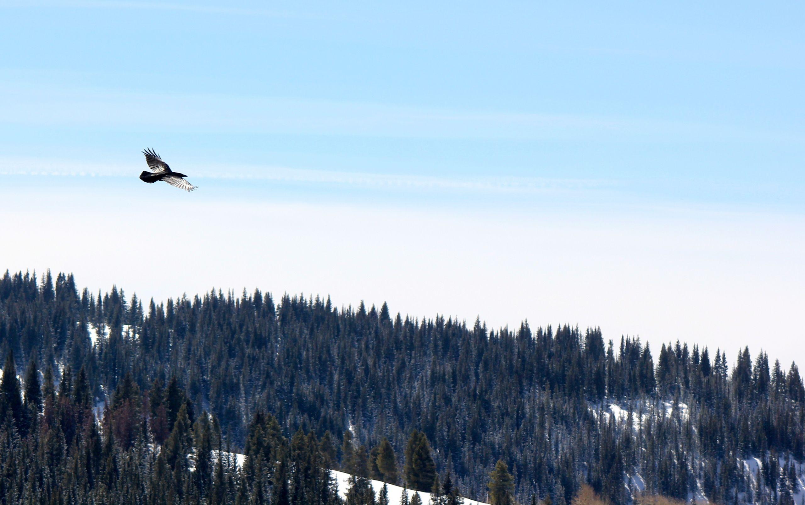 Vail Wallpapers - Top Free Vail Backgrounds - WallpaperAccess