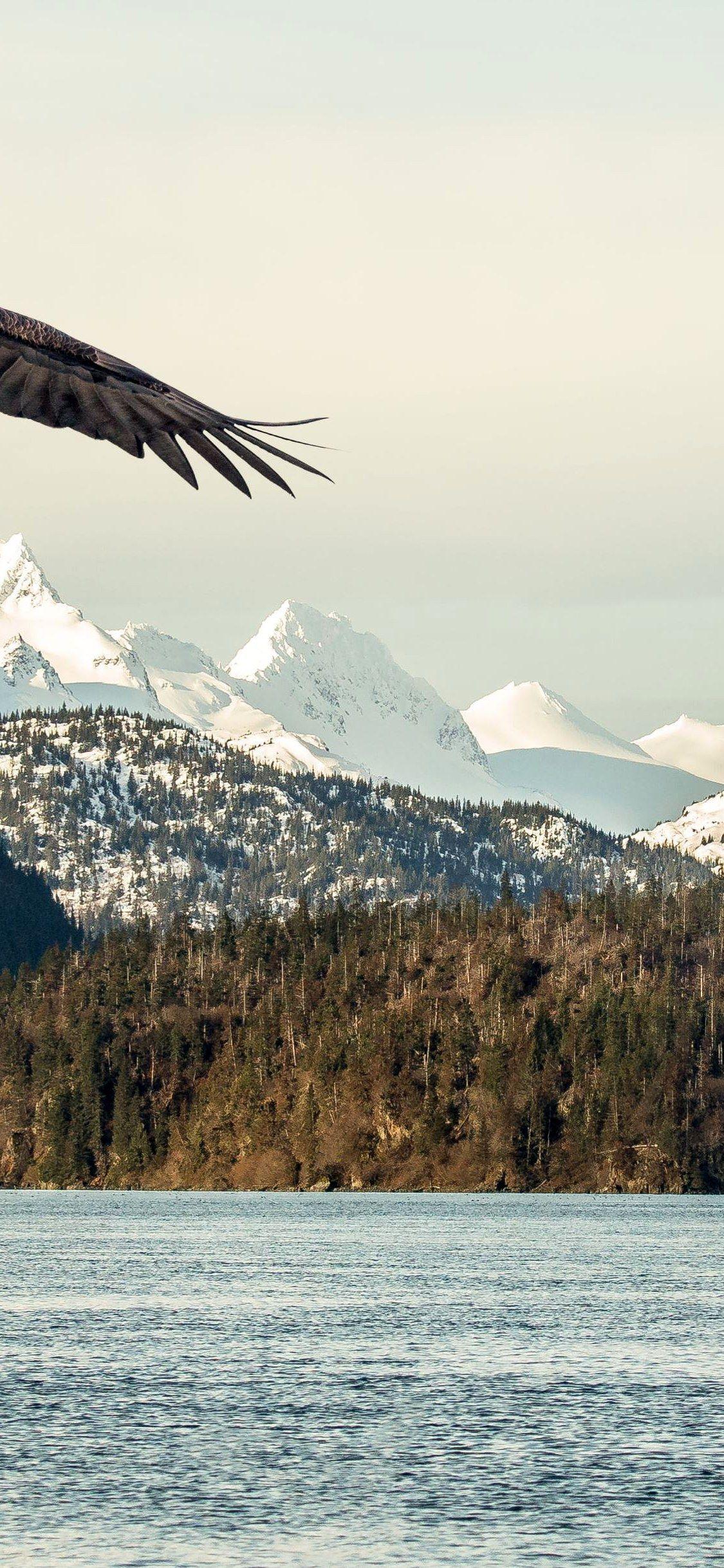 Alaska iPhone Wallpapers - Top Free Alaska iPhone Backgrounds ...