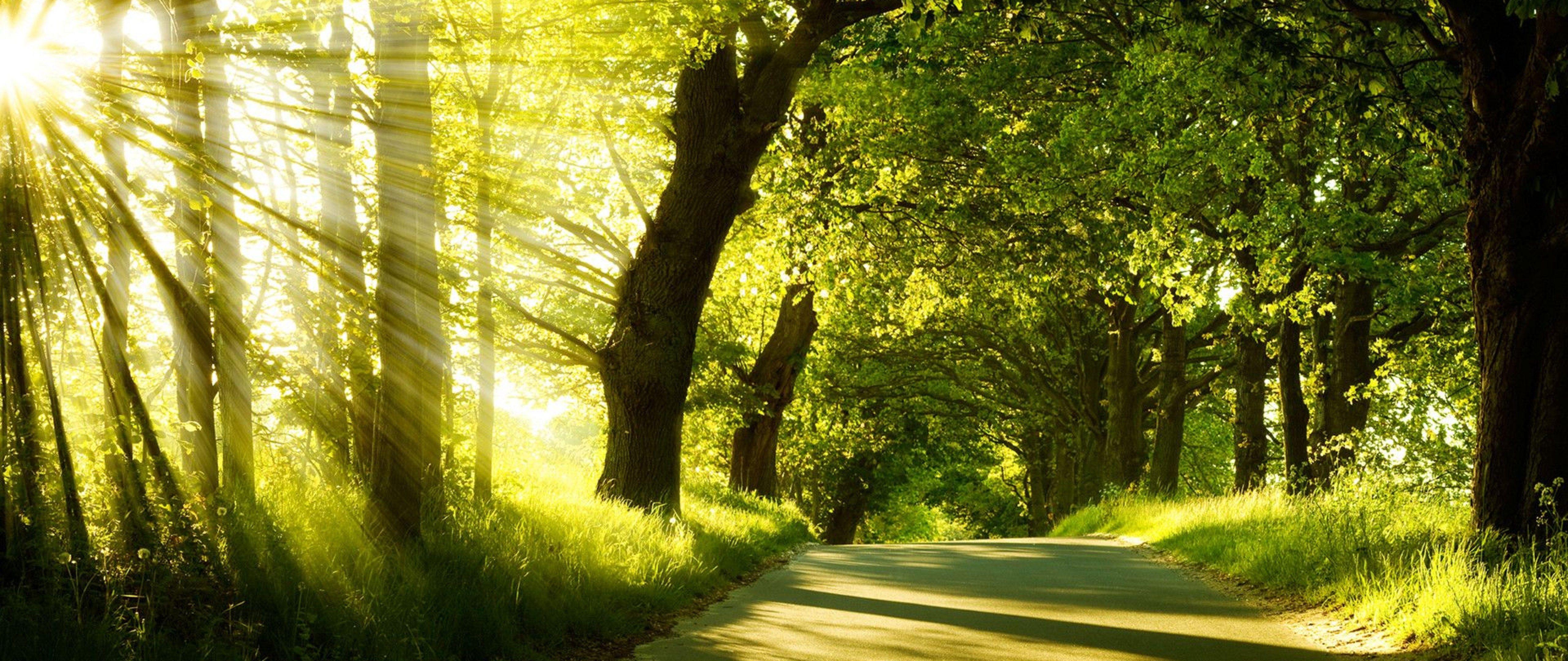 Sunny 4K Wallpapers - Top Free Sunny 4K Backgrounds - WallpaperAccess